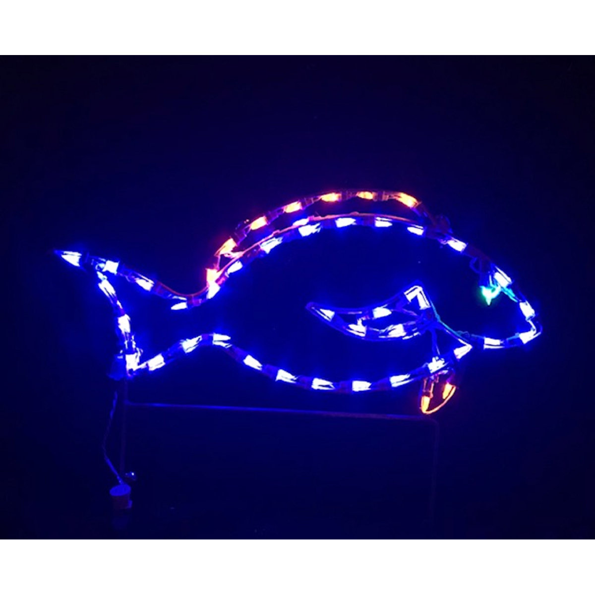 Lori's Lighted D'Lites Tropical Fish Nautical Lighted Display | Wayfair