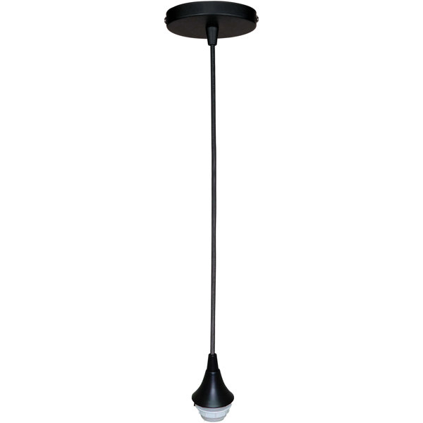 Ebern Designs Lynton 1 - Light Single Pendant - Wayfair Canada