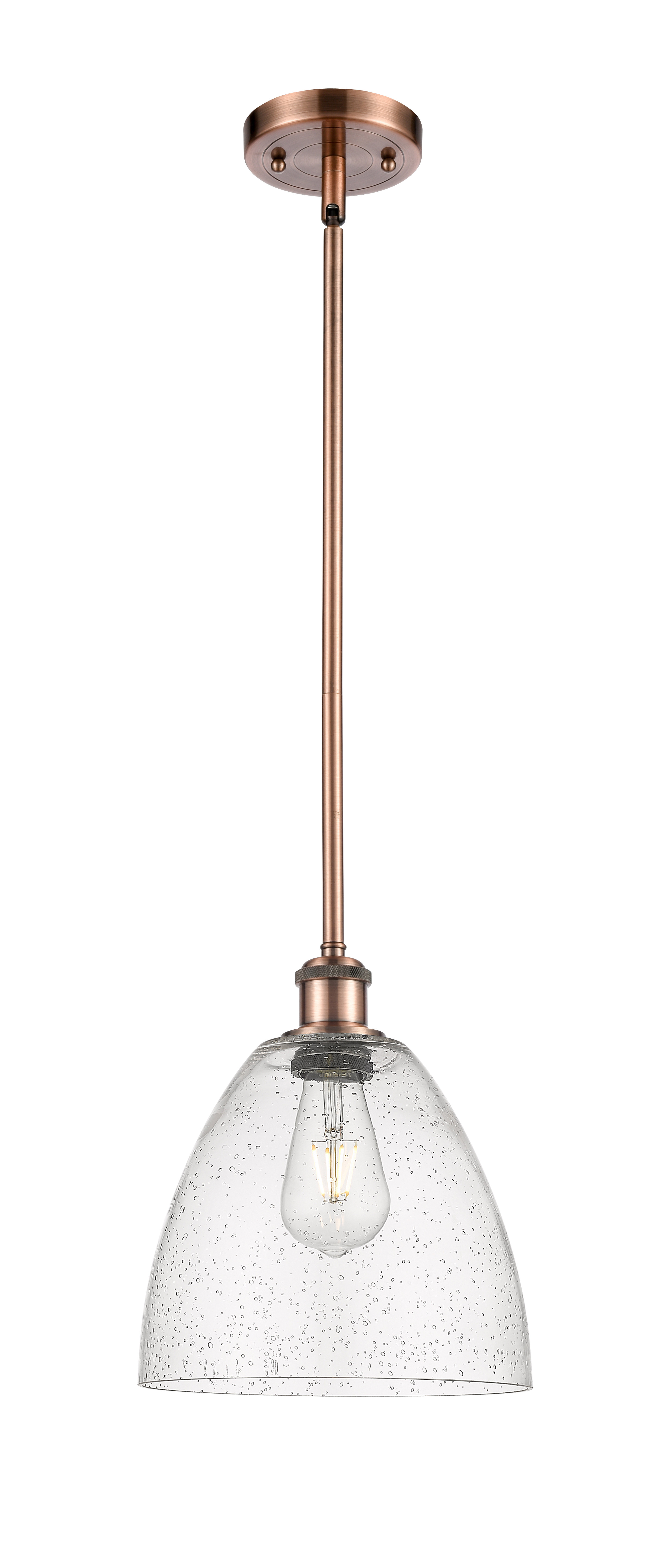 Breakwater Bay 1 - Light Single Dome Pendant | Wayfair