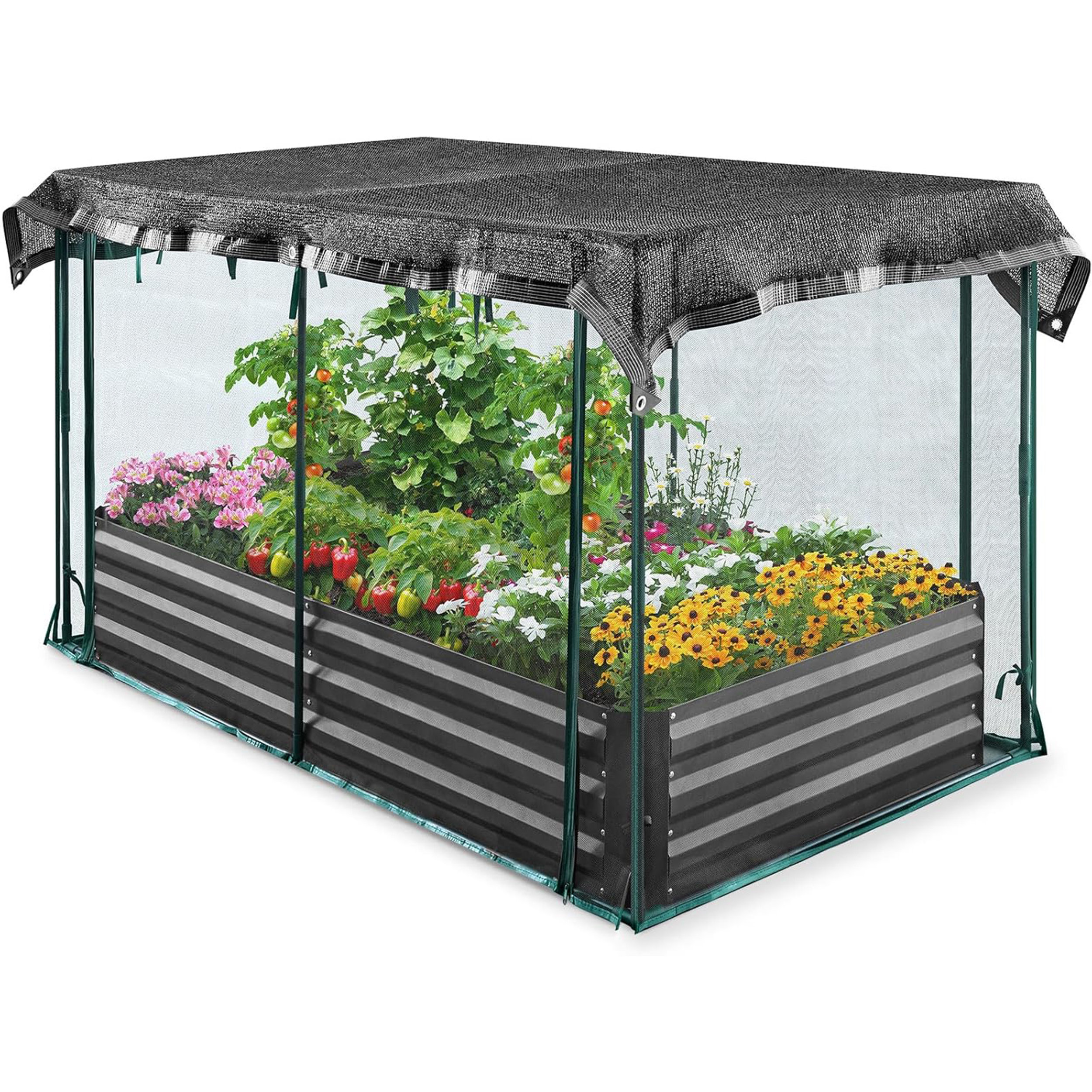 Arlmont & Co. Galvanized Raised Garden Bed with Crop Cage Plant ...