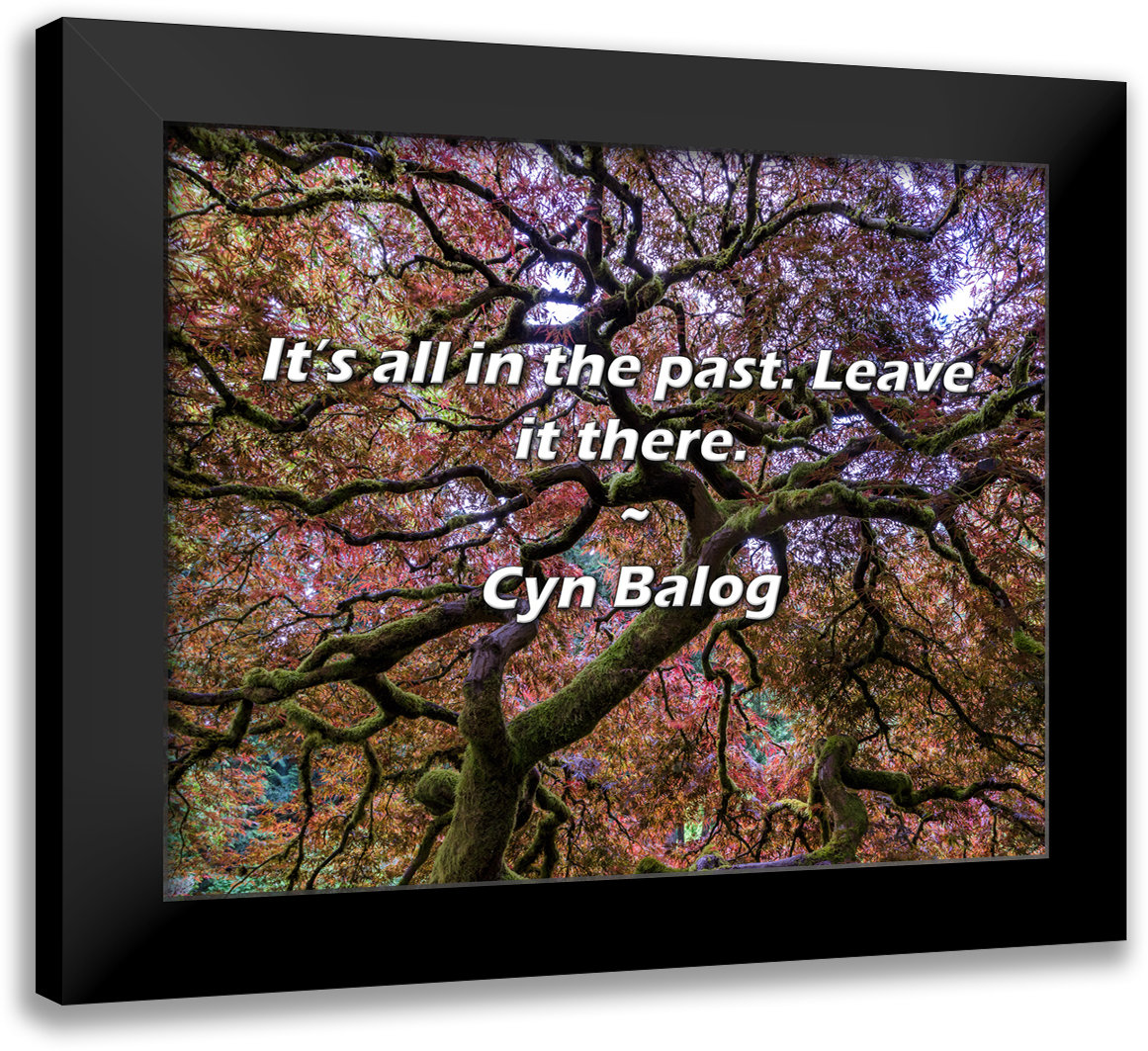 Latitude Run® Cyn Balog Quote: It’s all in the past. Leave it there ...