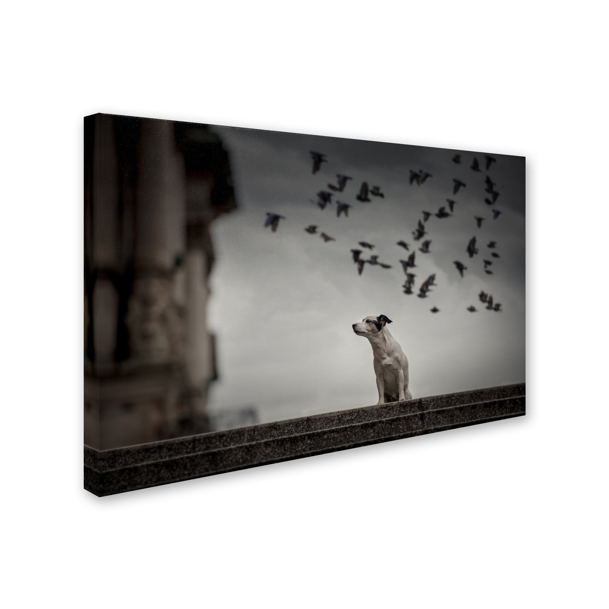 Trademark Fine Art 'Close Your Eyes and Listen' Photographic Print on ...