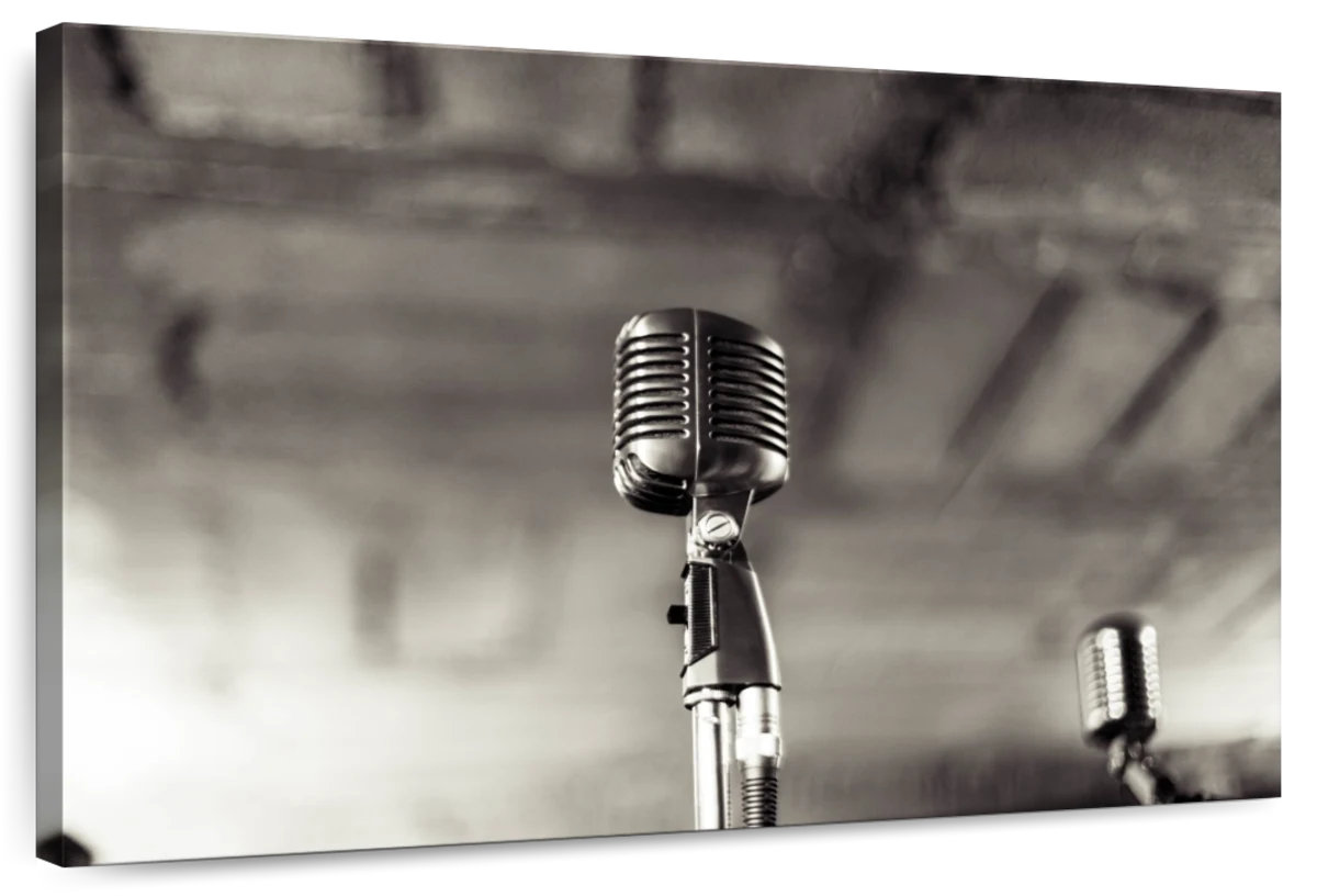 Ebern Designs Abarca Jazz Microphone | Wayfair