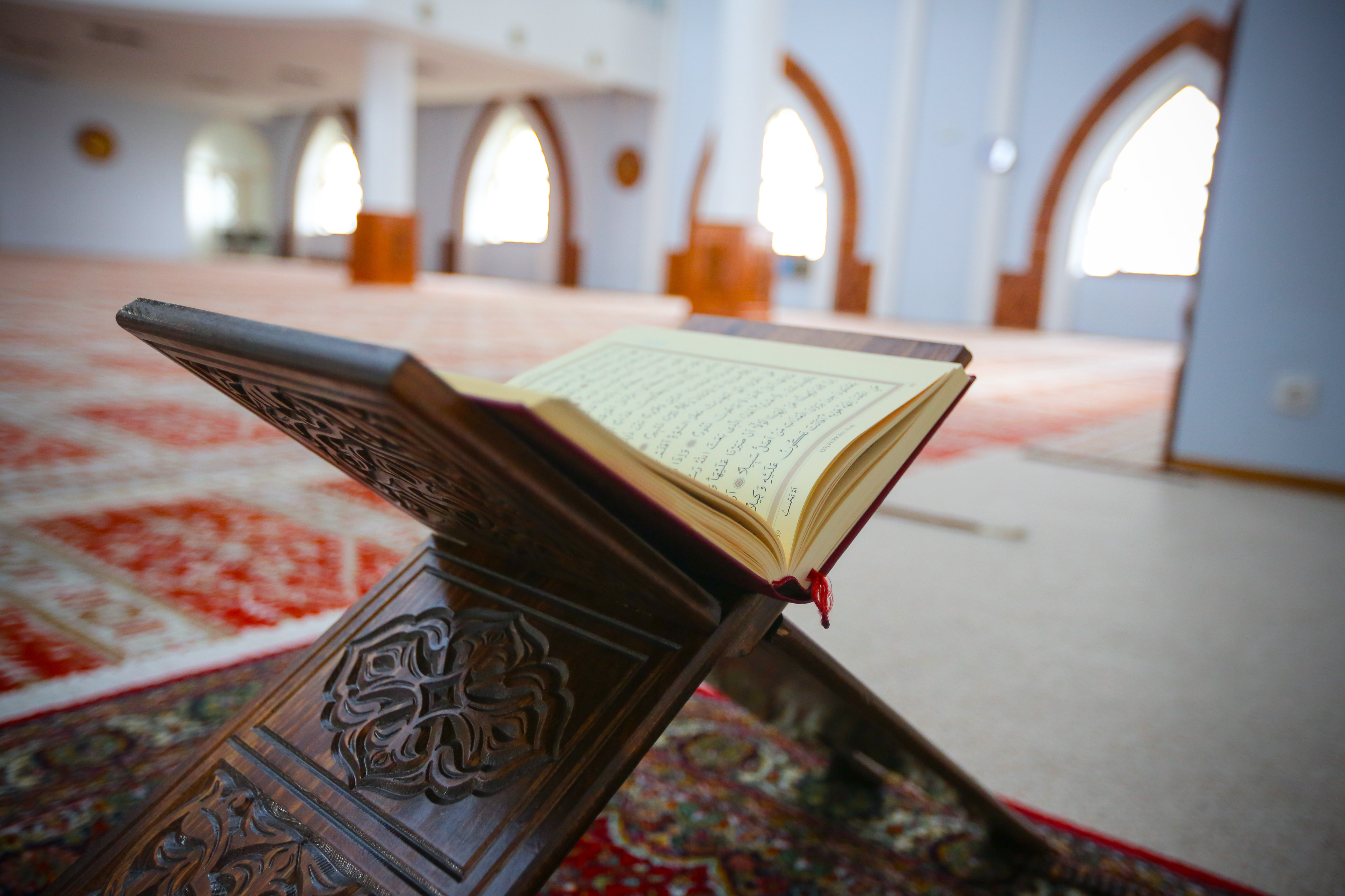 Ebern Designs The Holy Quran by Mirzavis - Wayfair Canada