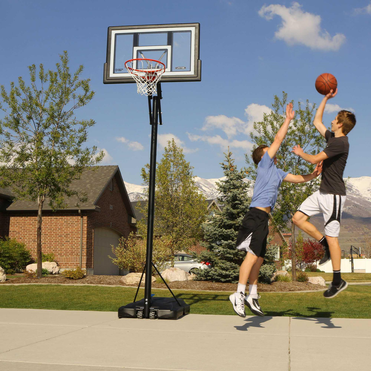 Lifetime Height Adjustable Portable Basketball Hoop (50" Polycarbonate ...