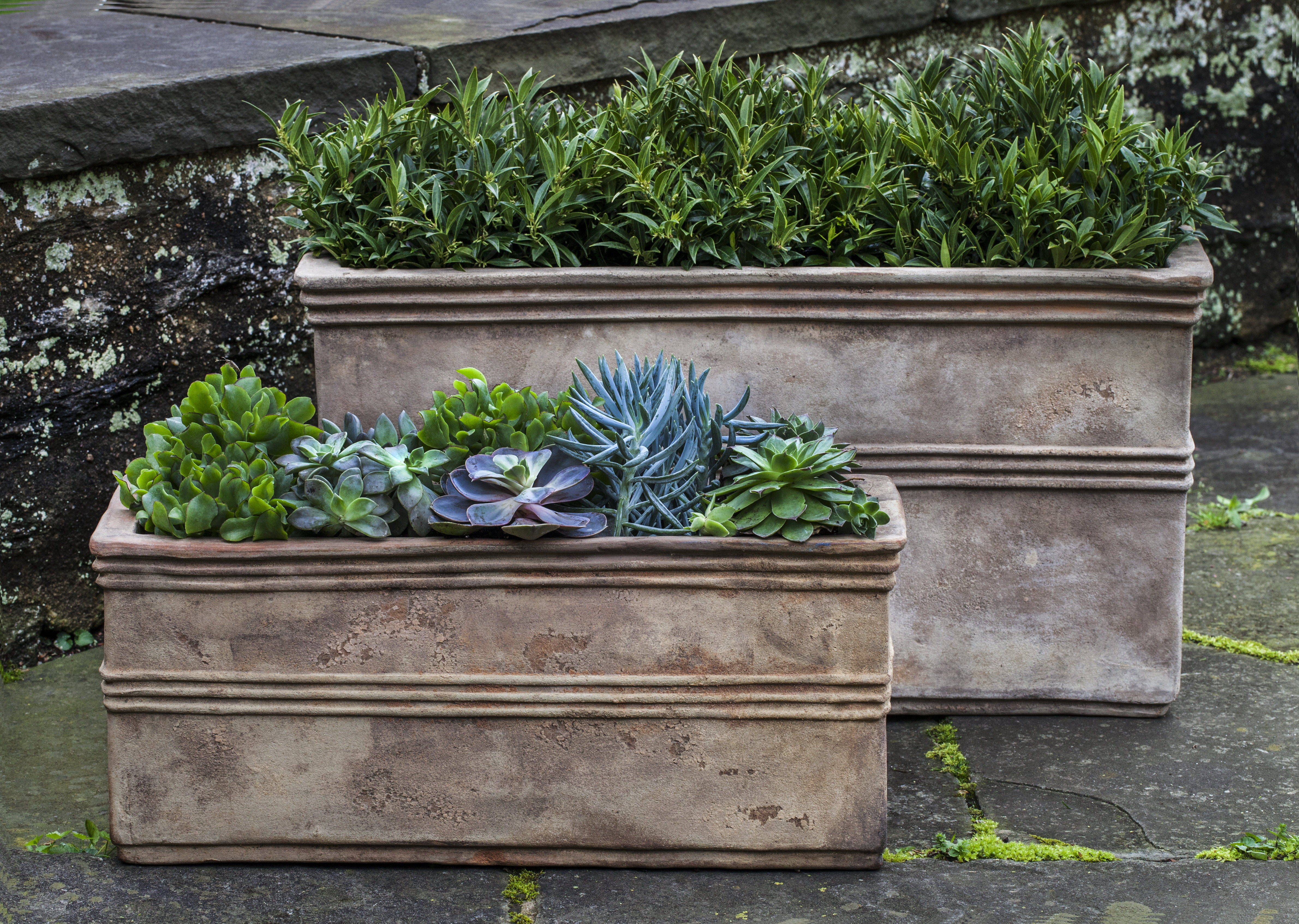 Williston Forge Jacksen 2-Piece Terracotta Planter Box Set - Wayfair Canada