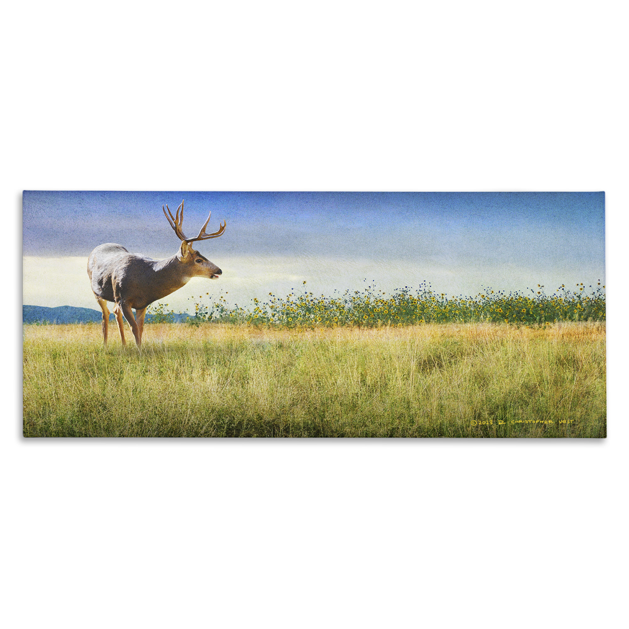Foundry Select Buck Deer in Field Canvas Wall Art by Chris Vest | Wayfair