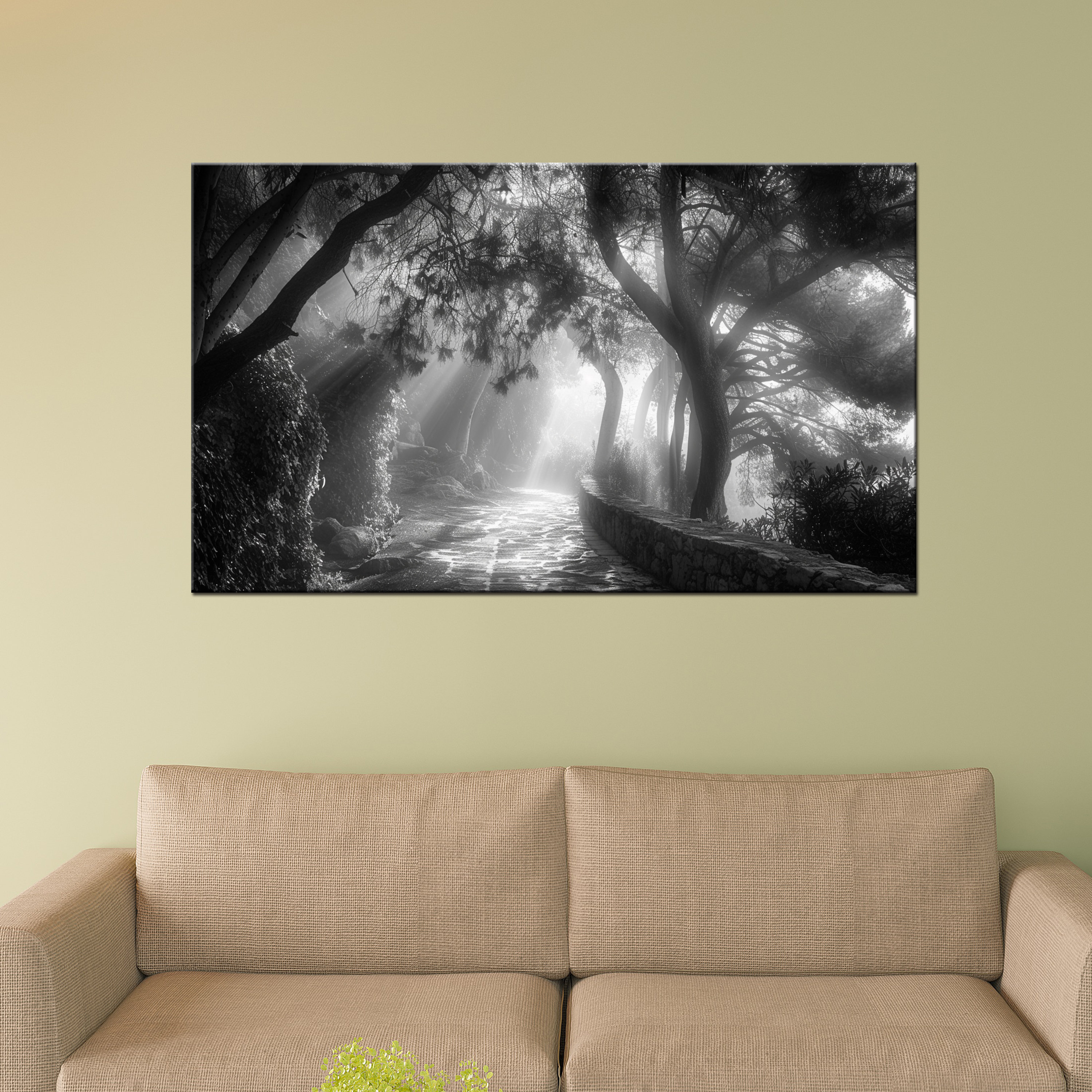 Millwood Pines Path of Timelessness: Sunlight on the Forest Path by ...