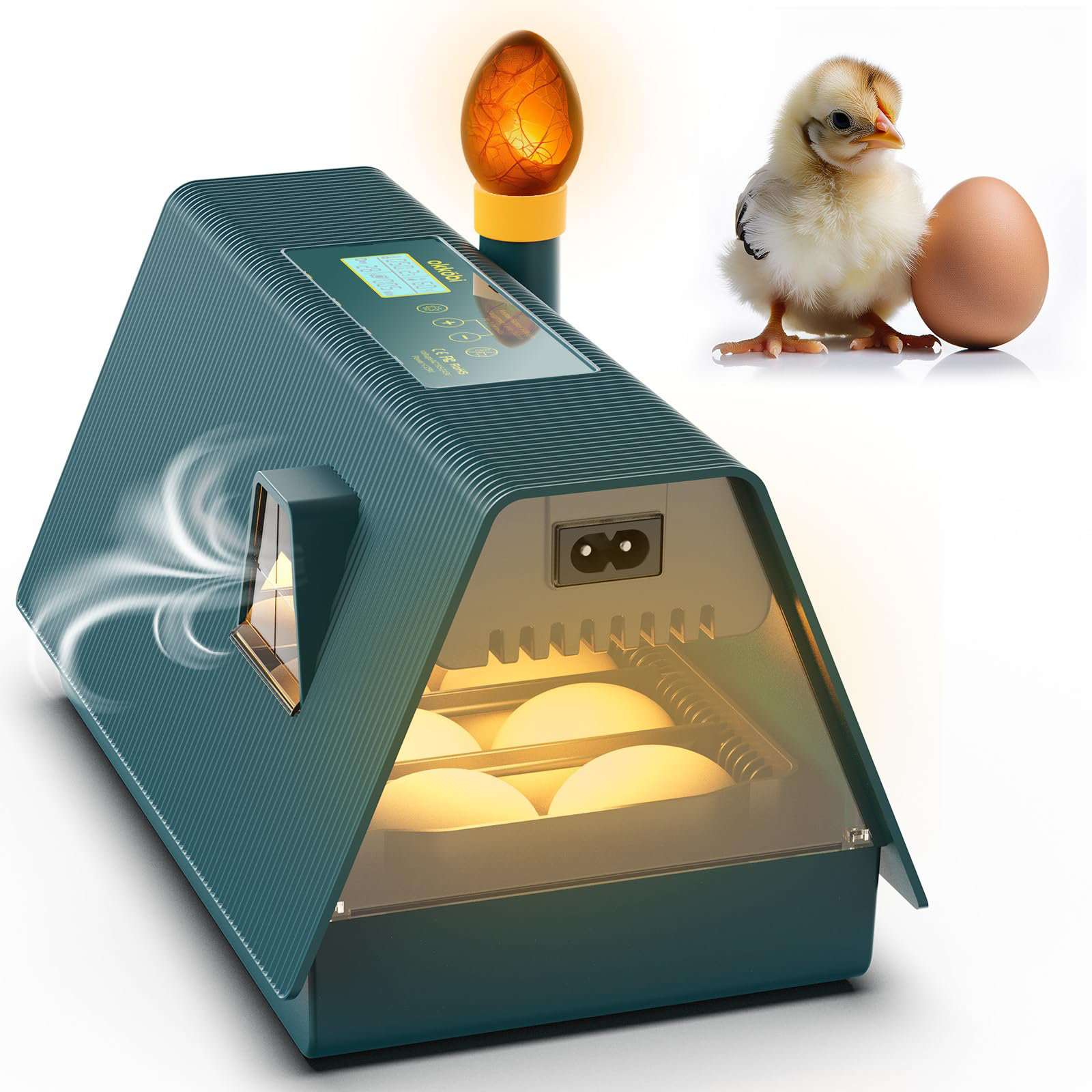 MODERN WALLS LLC Incubators For Hatching Eggs - Ideal All Ages | Egg ...