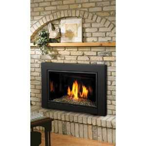 Kingsman Fireplaces Direct Vent Natural Gas/Propane Fireplace Insert ...