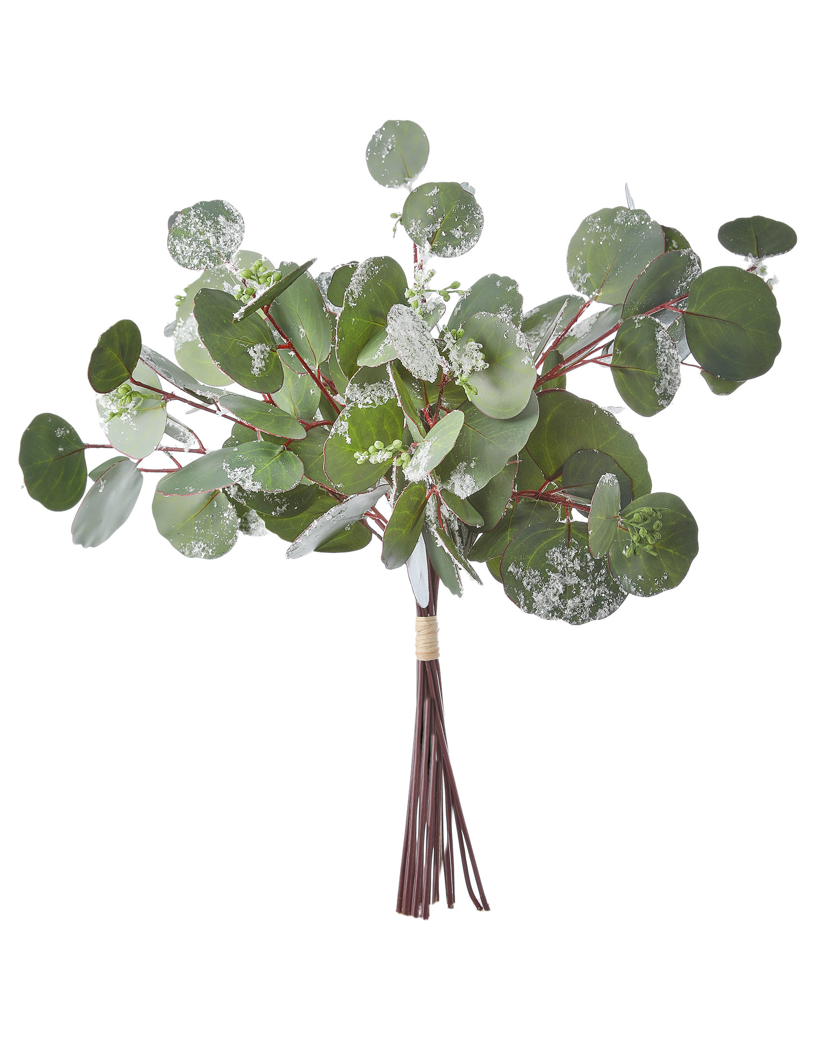 The Holiday Aisle® Frosted Eucalyptus Bundle Mixed Stems | Wayfair