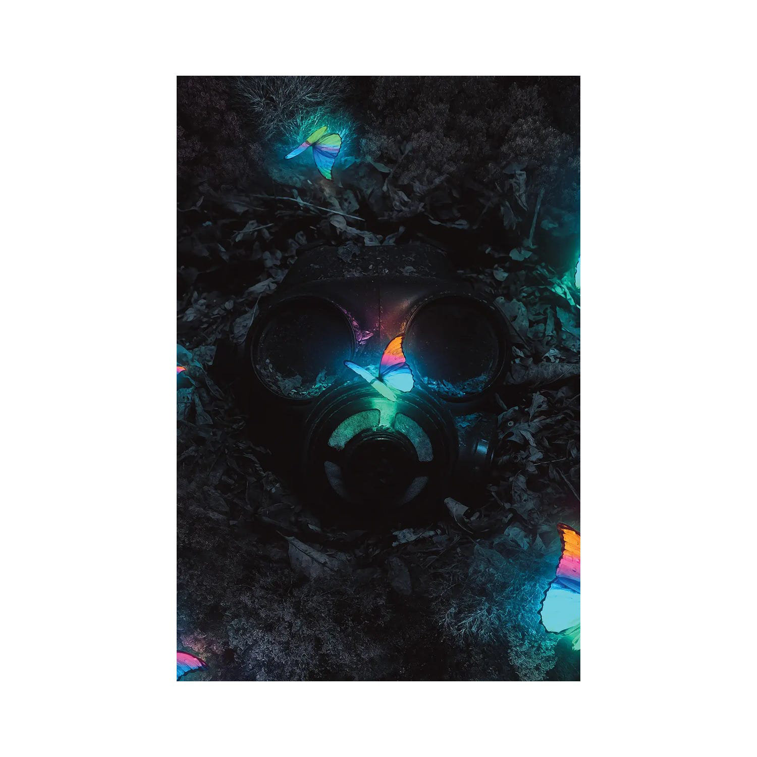 Latitude Run Extinction by Marischa Becker - Wrapped Canvas Graphic Art ...