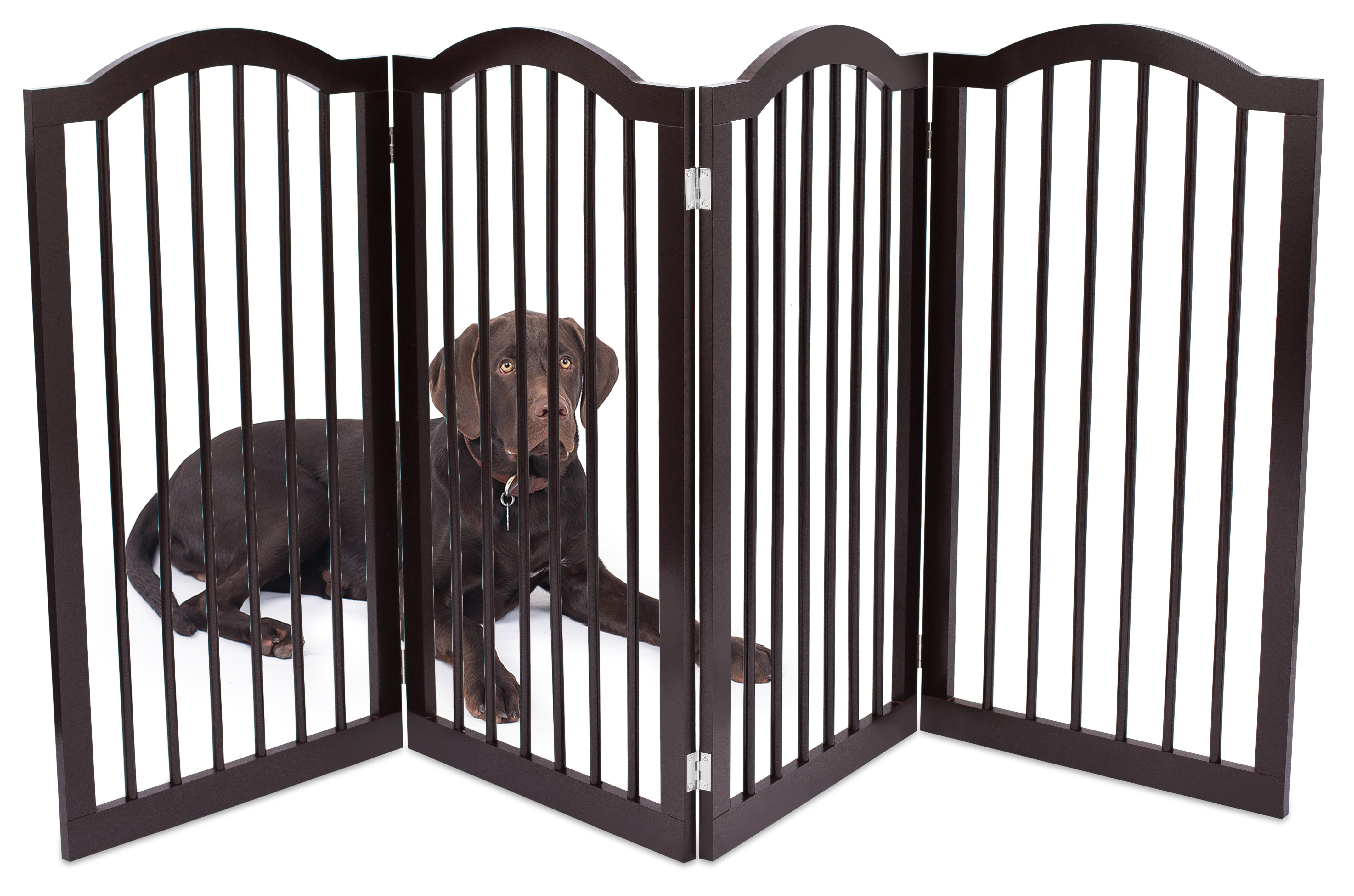 BirdRock Home Free Standing Pet Gate - Wayfair Canada