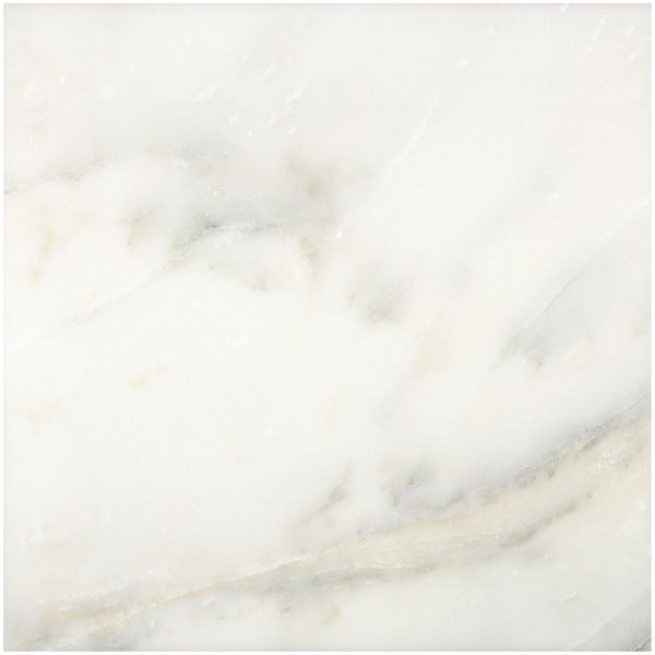 Stone & Tile Shoppe, Inc. 18" x 36" Marble Marble Look Wall & Floor ...