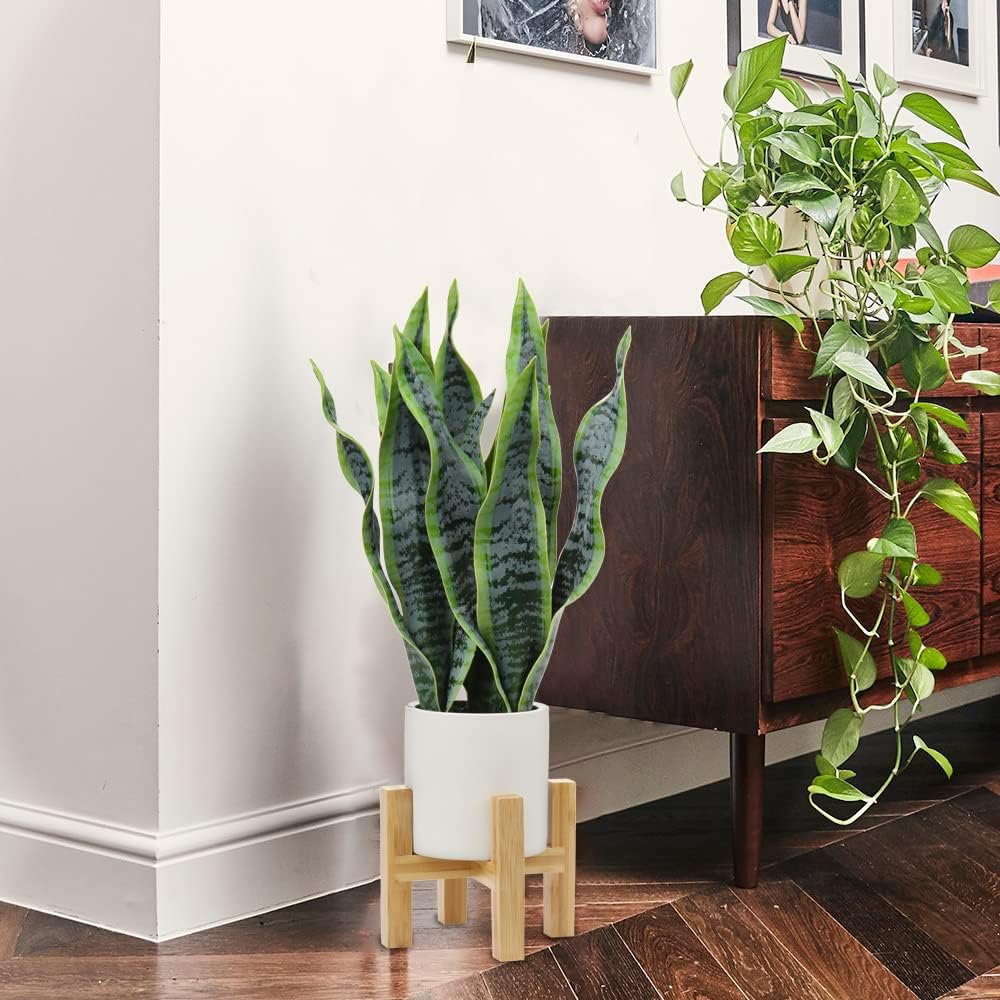 Primrue Faux Snake Pot Plant with Solid Wood Plant Stand, 19” Faux ...