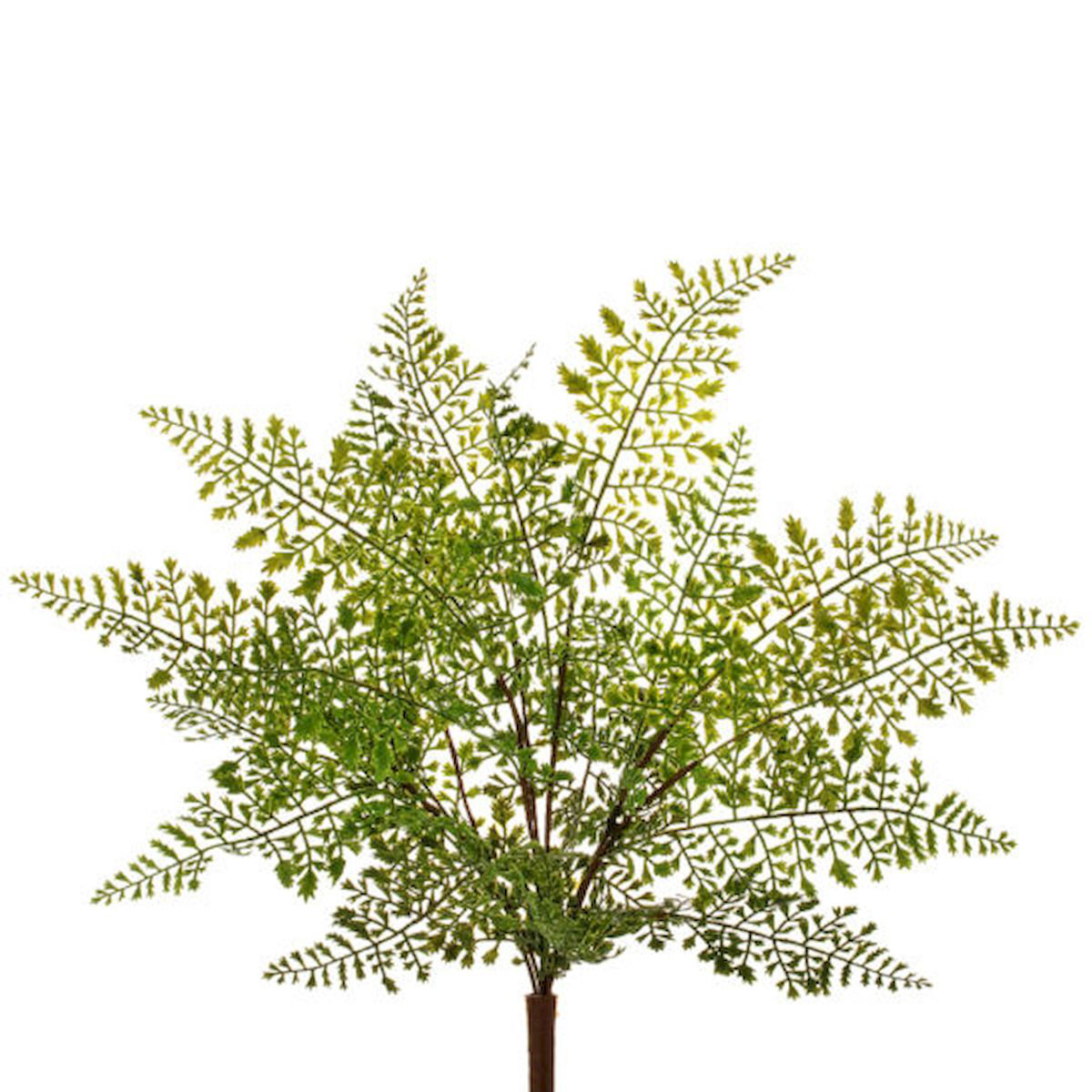 Primrue Real Touch Green Lace Fern Bush Faux Plants And Trees - Wayfair ...