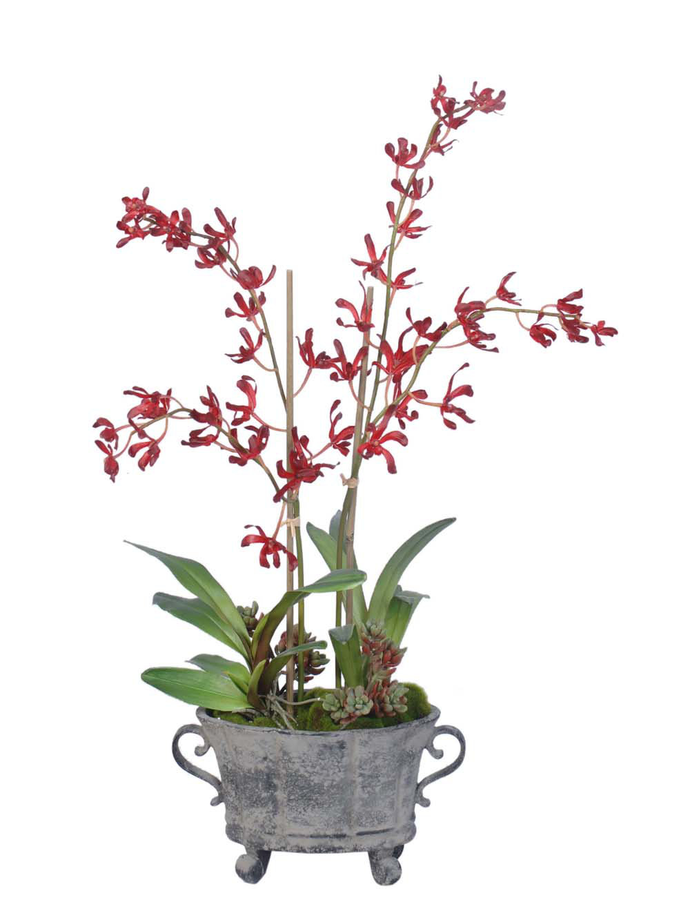 Primrue Red Vanda Orchid - Wayfair Canada