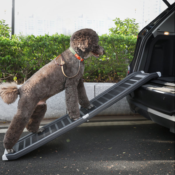 Tucker Murphy Pet™ Foldable Pet Car Ramp Portable Dogs Step Ladder with ...
