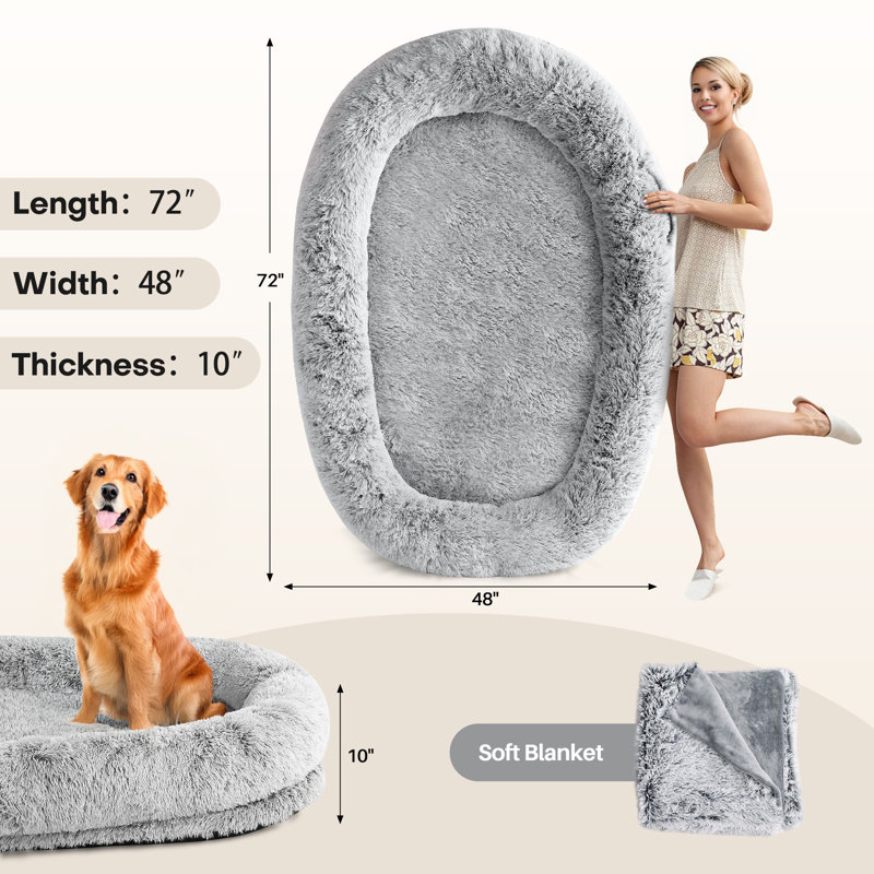 Archie & Oscar™ Marston Human Dog Bed, 72"×48"×10" Human Dog Bed With ...