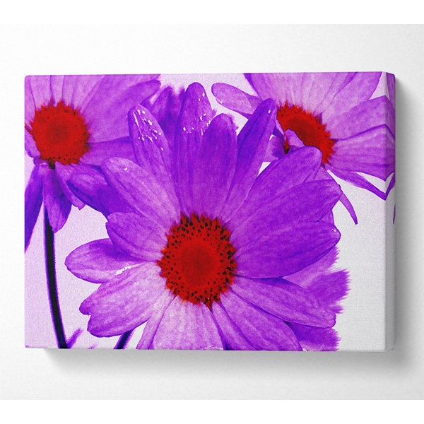 Brambly Cottage Purple Dew Drop Daisys - Wrapped Canvas Print | Wayfair ...