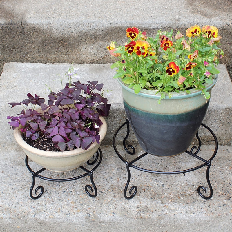 Fleur De Lis Living Varvara Metal Plant Stand & Reviews | Wayfair