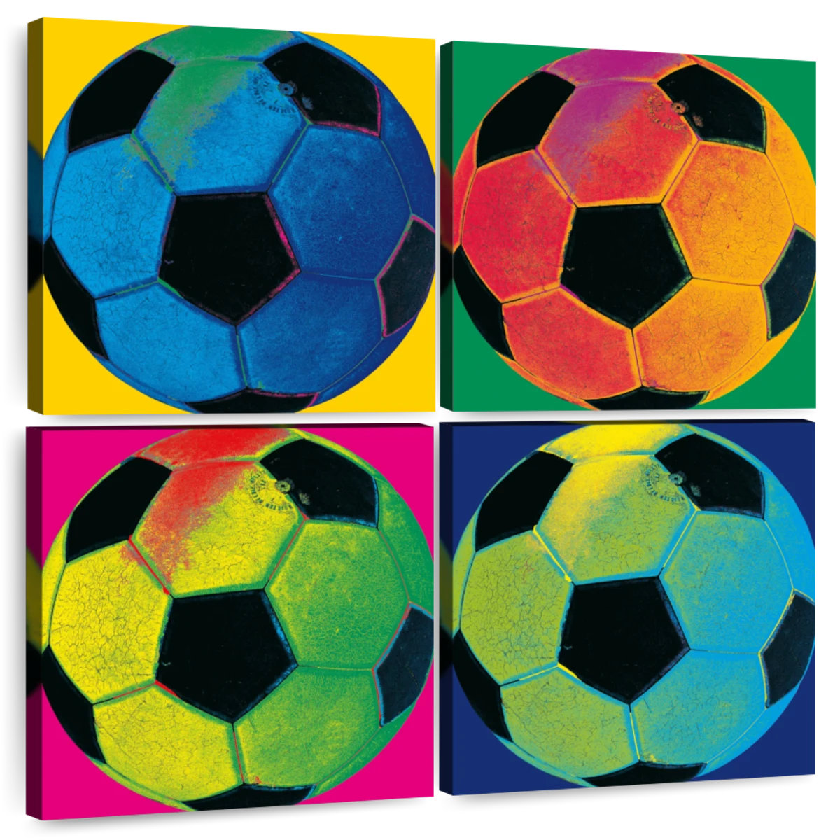 Ebern Designs Sireci Ball Four Soccer | Wayfair