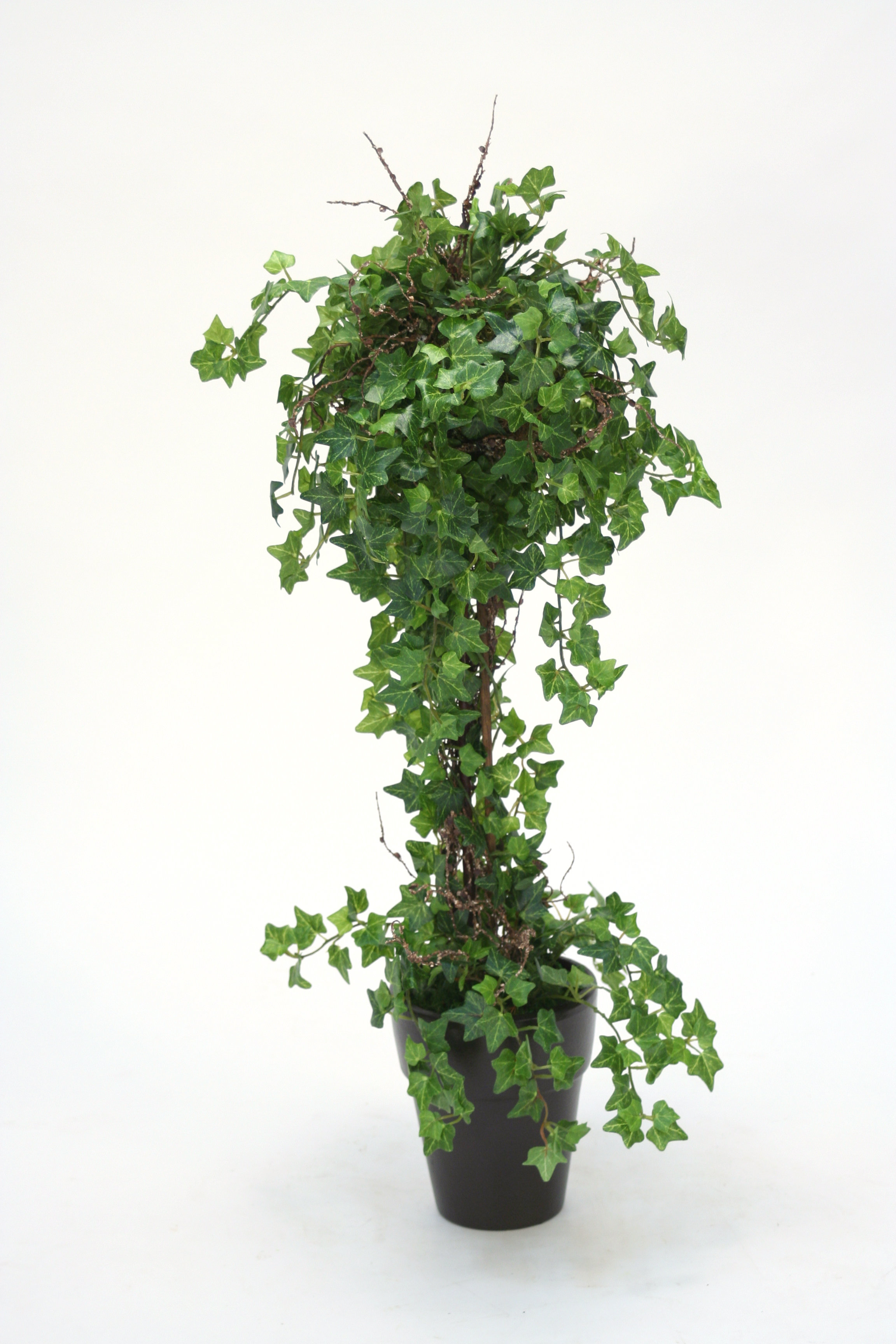 Charlton Home Mini Ivy Topiary in Scrolled Pot & Reviews - Wayfair Canada