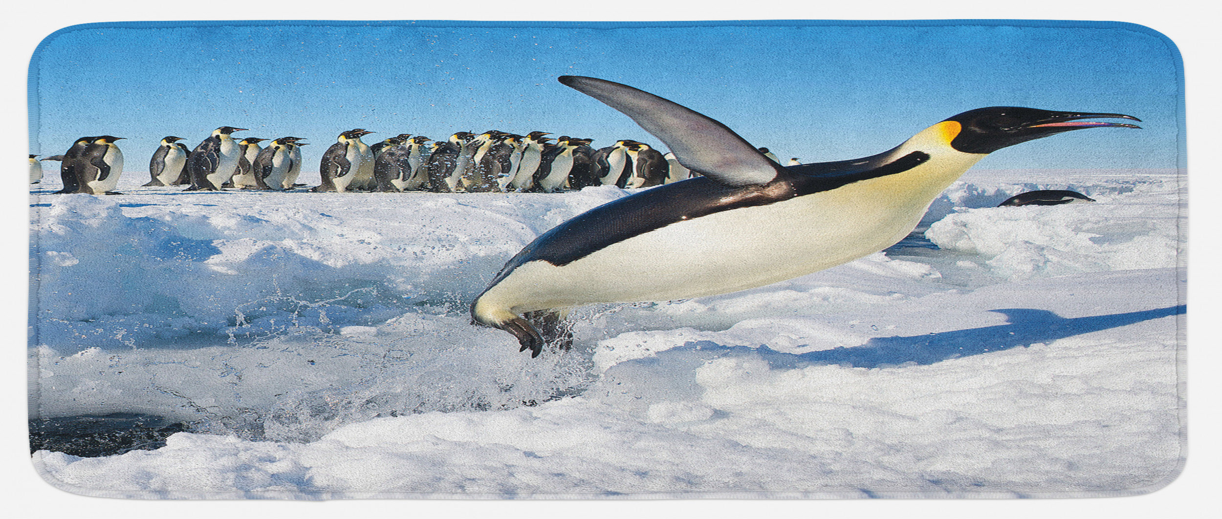 East Urban Home Penguins Pole Wildlife Swimming Flying Dancing Family ...