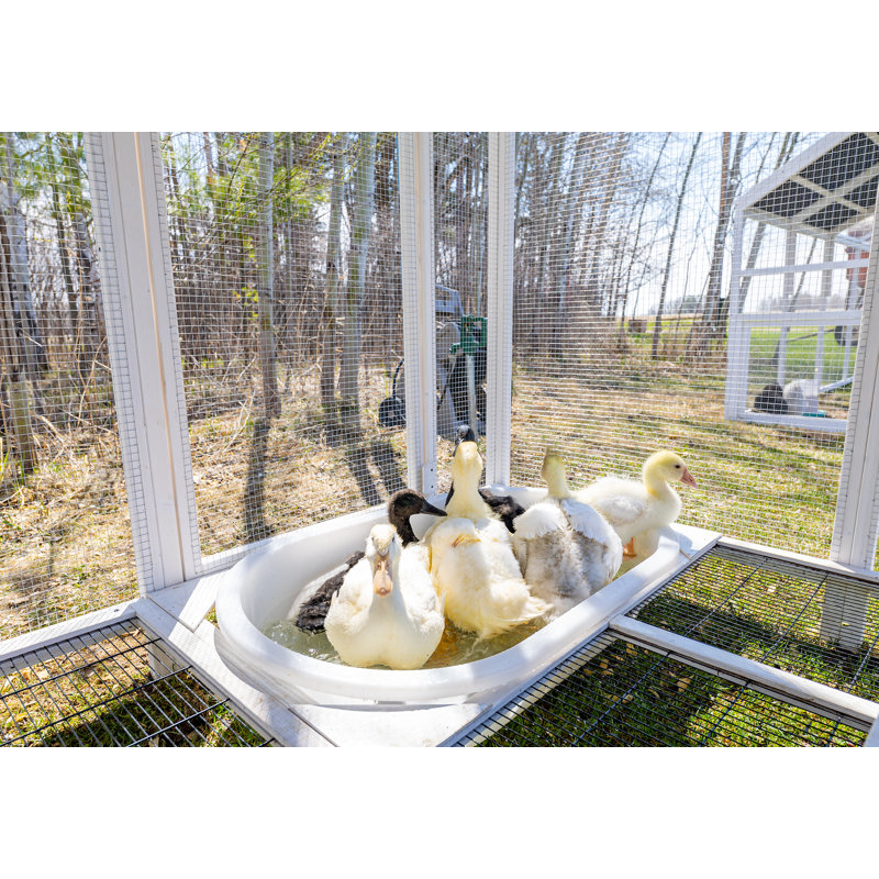 Zylina Modern Duck Barn & Reviews | Wayfair