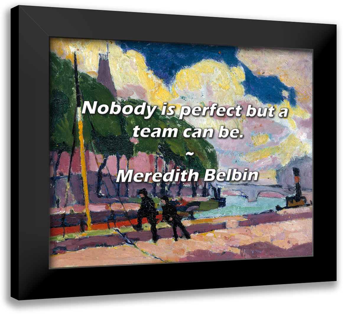 Latitude Run® Meredith Belbin Quote: Nobody is perfect but a team can ...