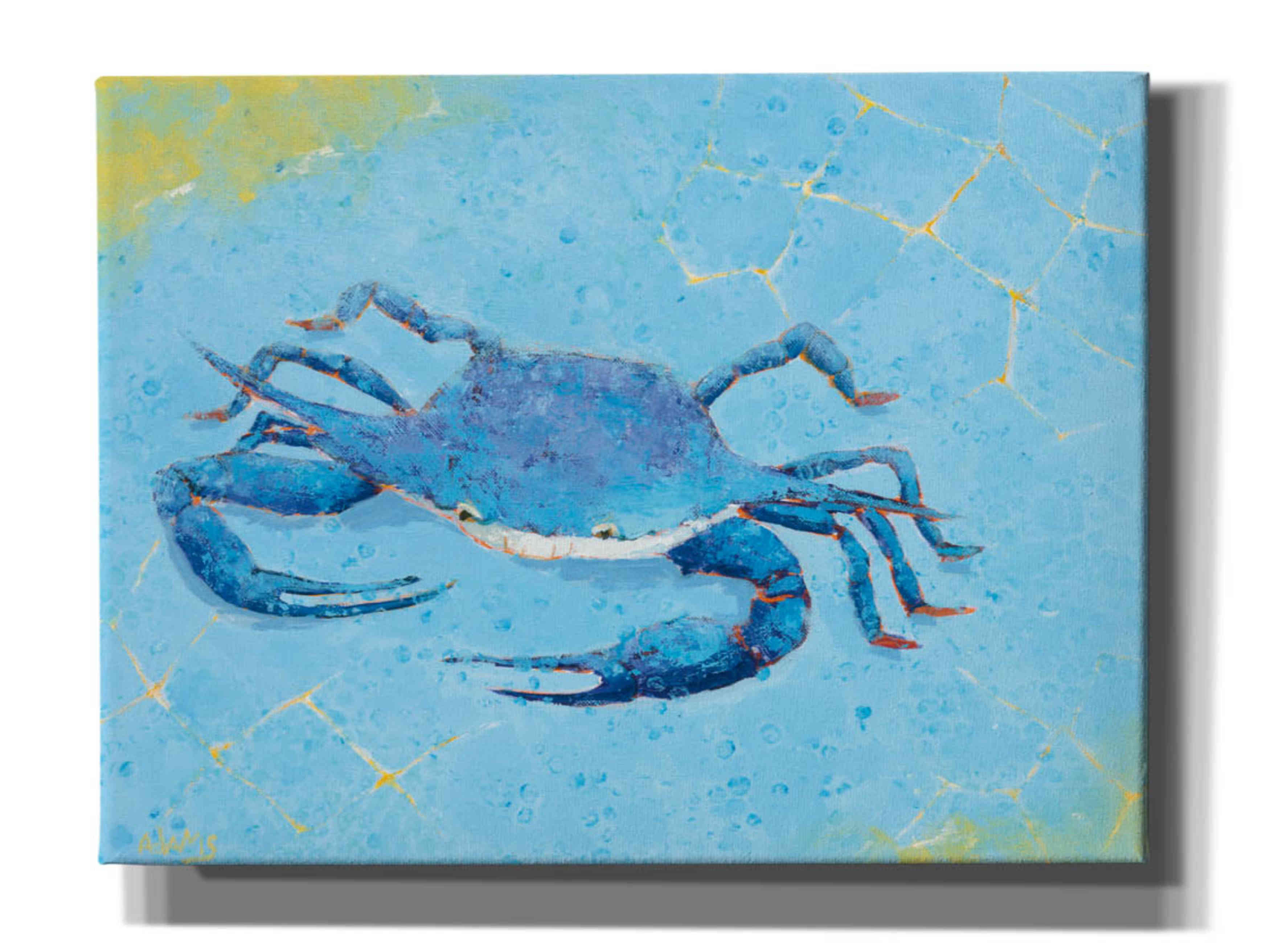 Dovecove Crab V - Wrapped Canvas Painting | Wayfair
