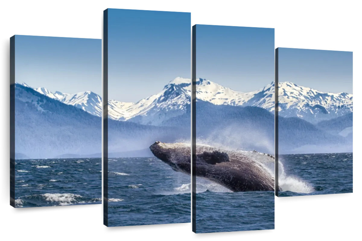Elephant Stock Humpback Whale Backflip | Wayfair