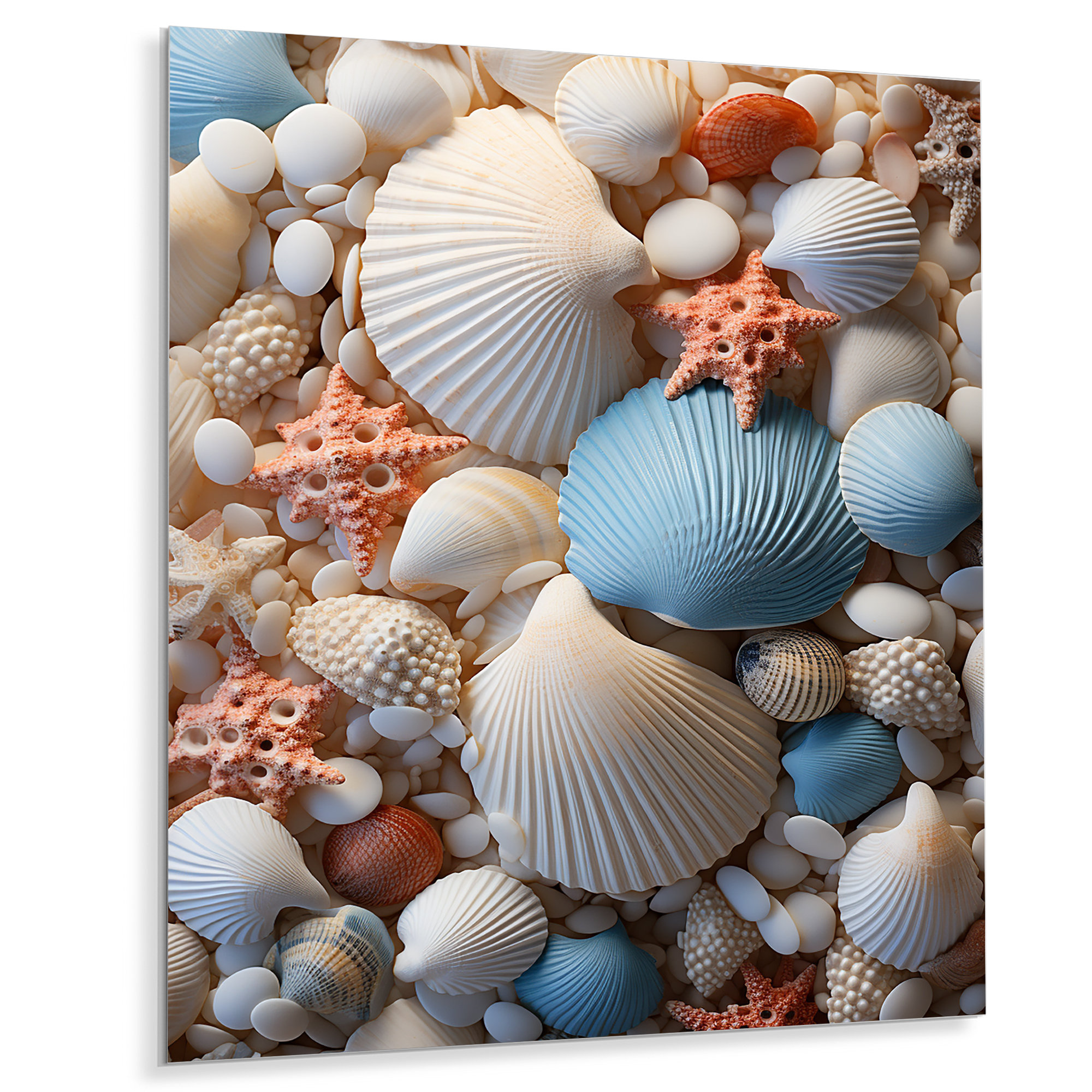 Highland Dunes Beach Photo Seashell Collage II - Animals Metal Wall ...