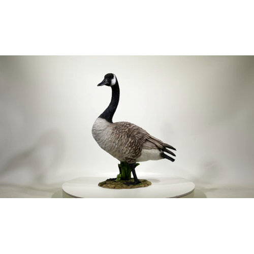 Hi-Line Gift Ltd. Standing Canada Goose Statue & Reviews | Wayfair