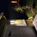 Wade Logan® Hunnewell LED Wall Light & Reviews | Wayfair