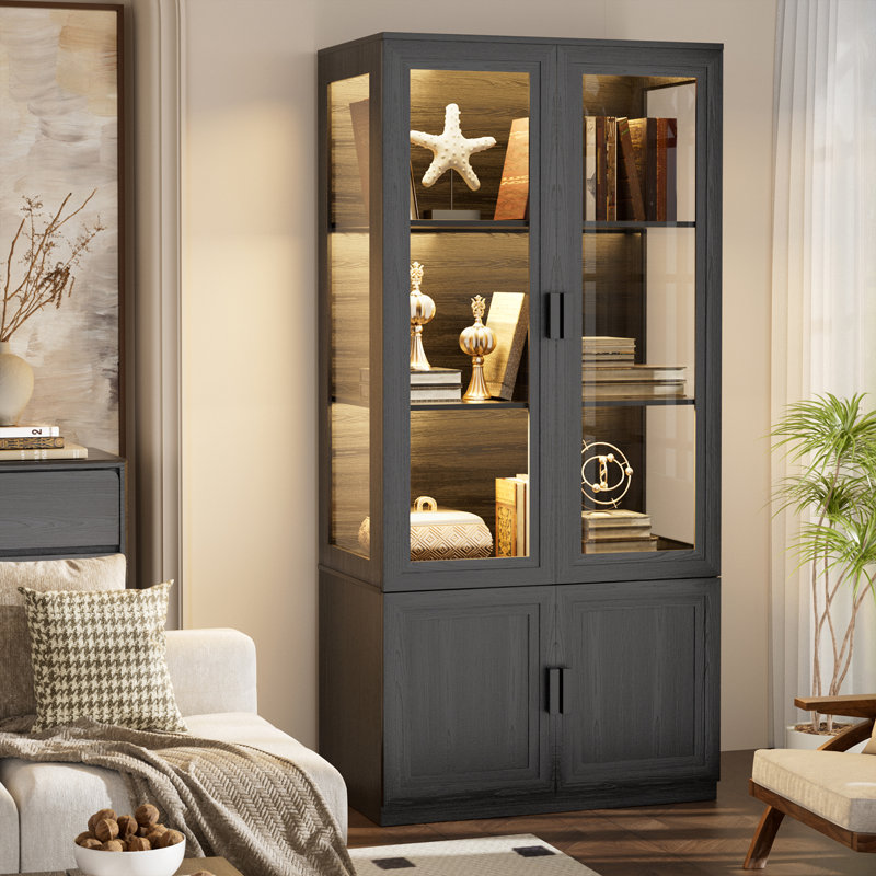 Wrought Studio™ Curio Display Cabinet with Doors, Bookcase with LED ...