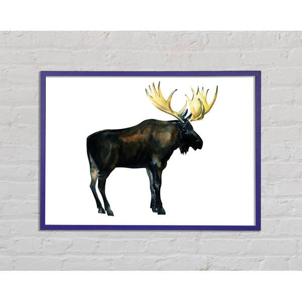 Gracie Oaks Moose - Single Picture Frame Print | Wayfair.co.uk