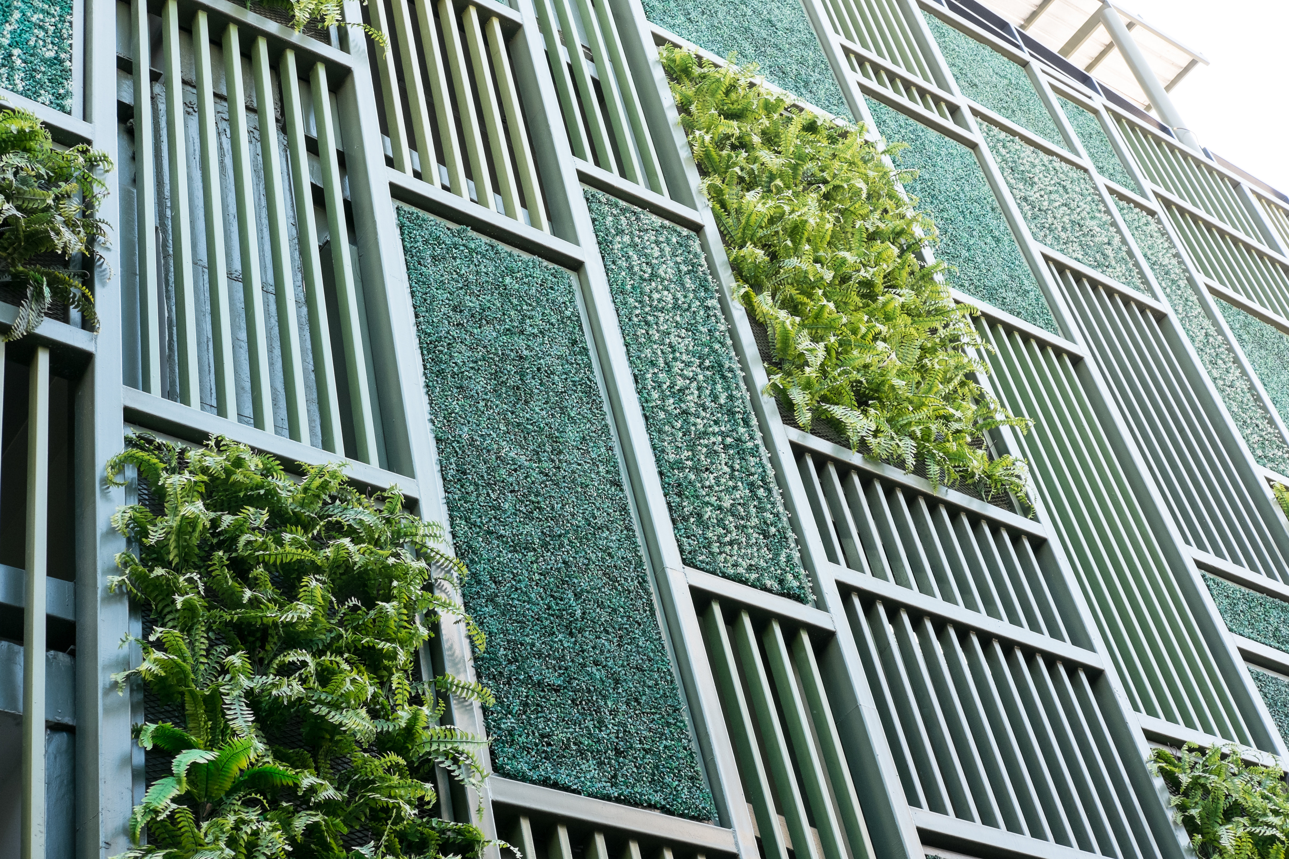 Latitude Run Shan Green Facade by Moomusician - Print | Wayfair.ie