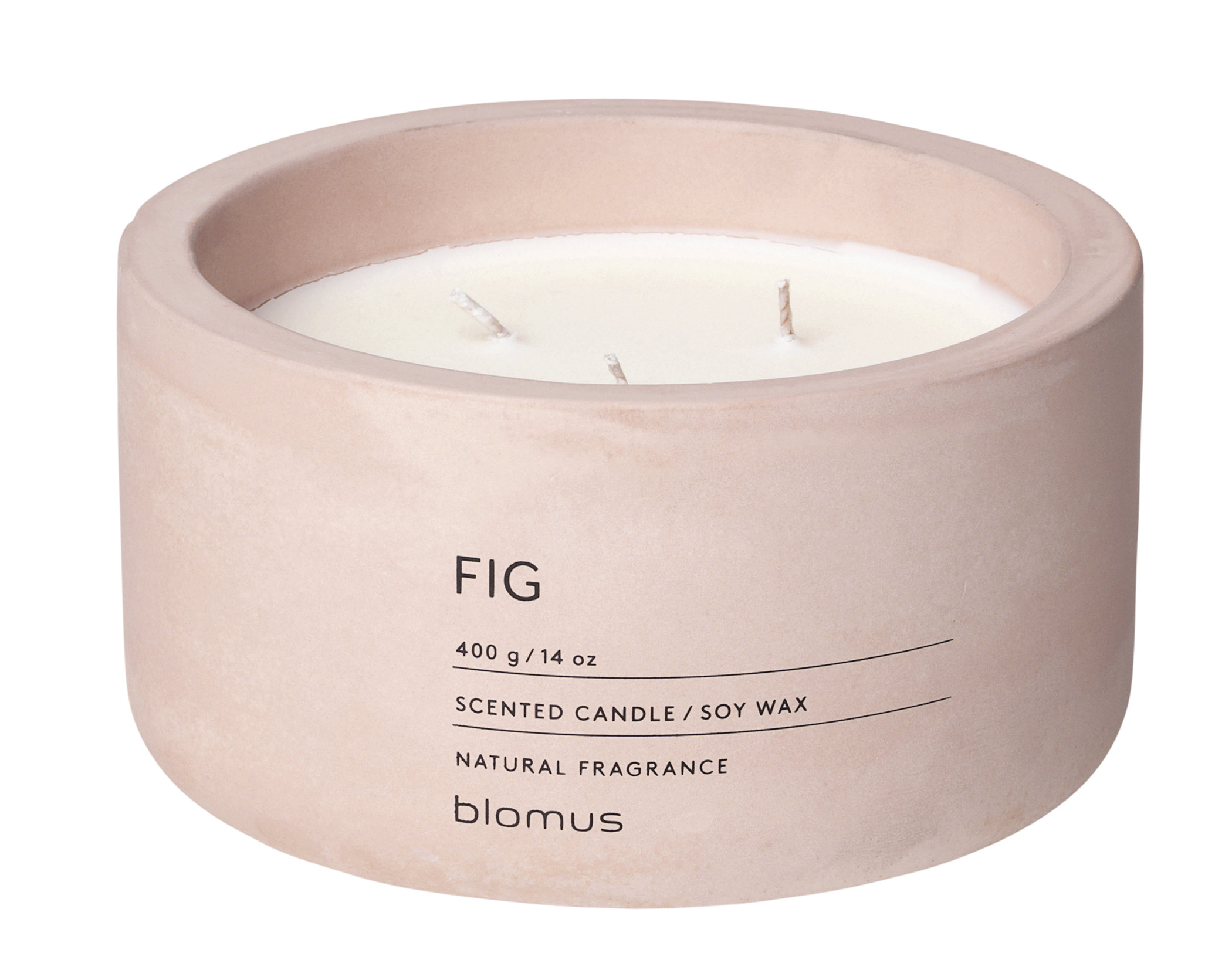 Blomus FRAGA Fig Scented Candle & Reviews | Joss & Main