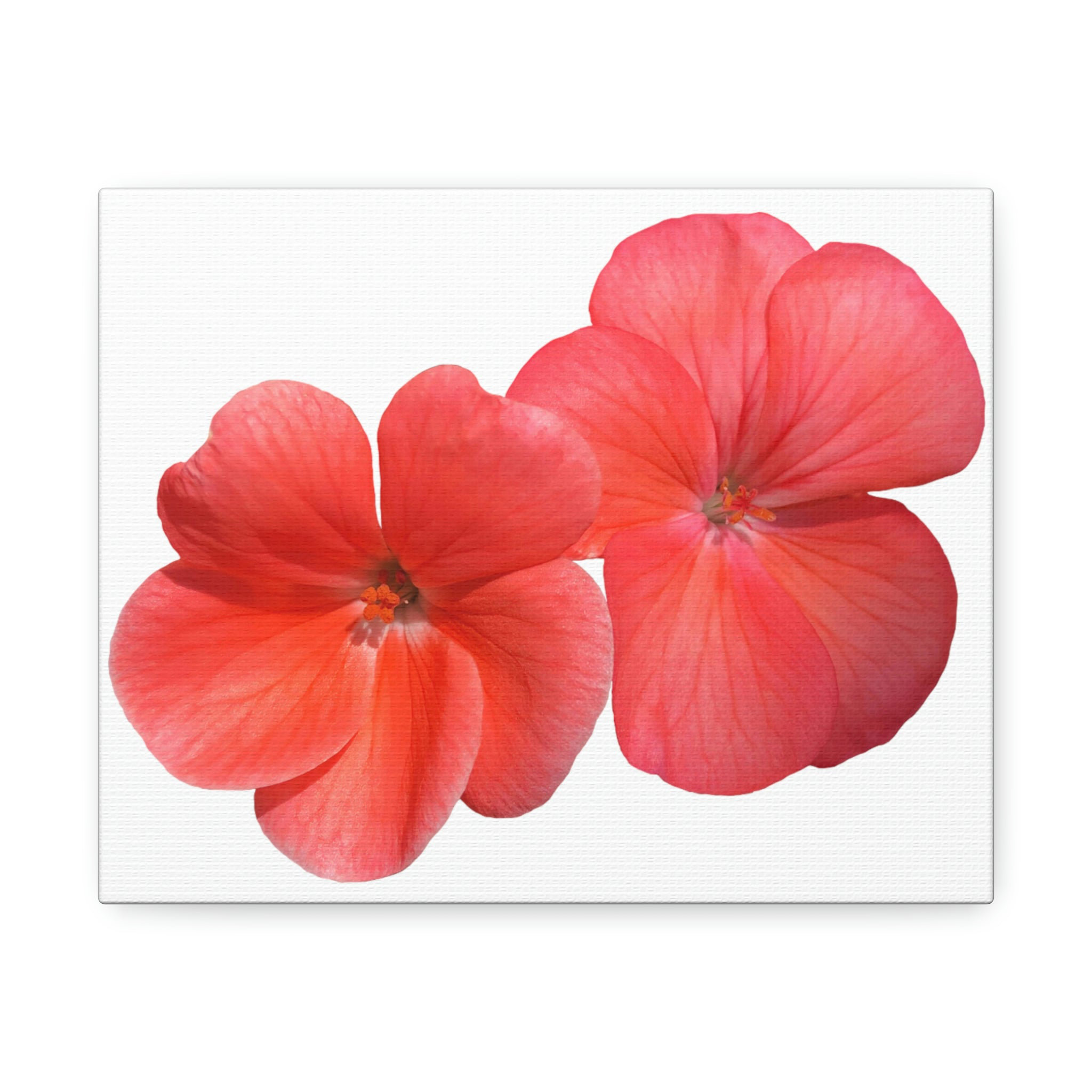 Latitude Run® Canvas by Leonardo Da Vinci - Wrapped Canvas Graphic Art ...