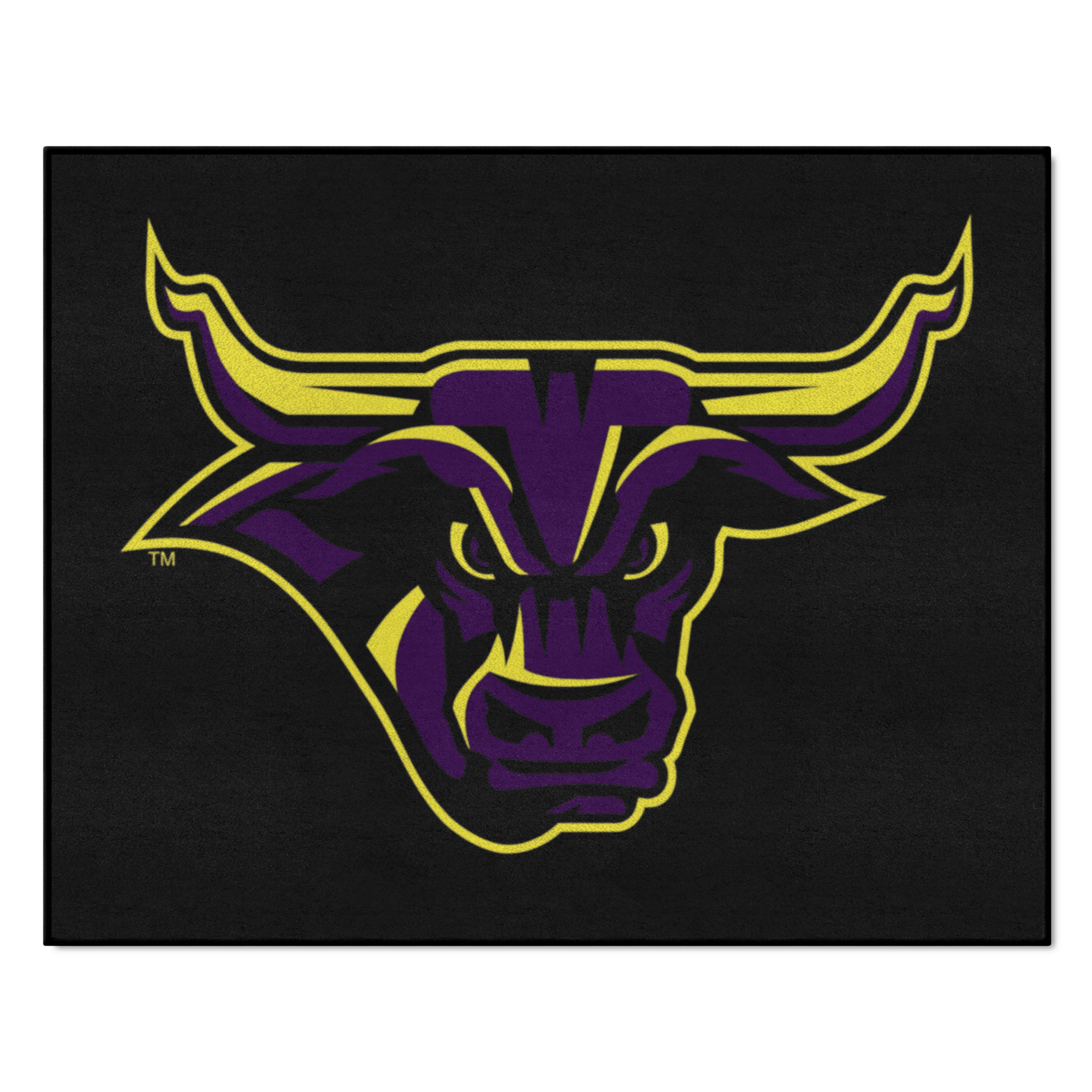 FANMATS Collegiate All-Star Mat | Wayfair