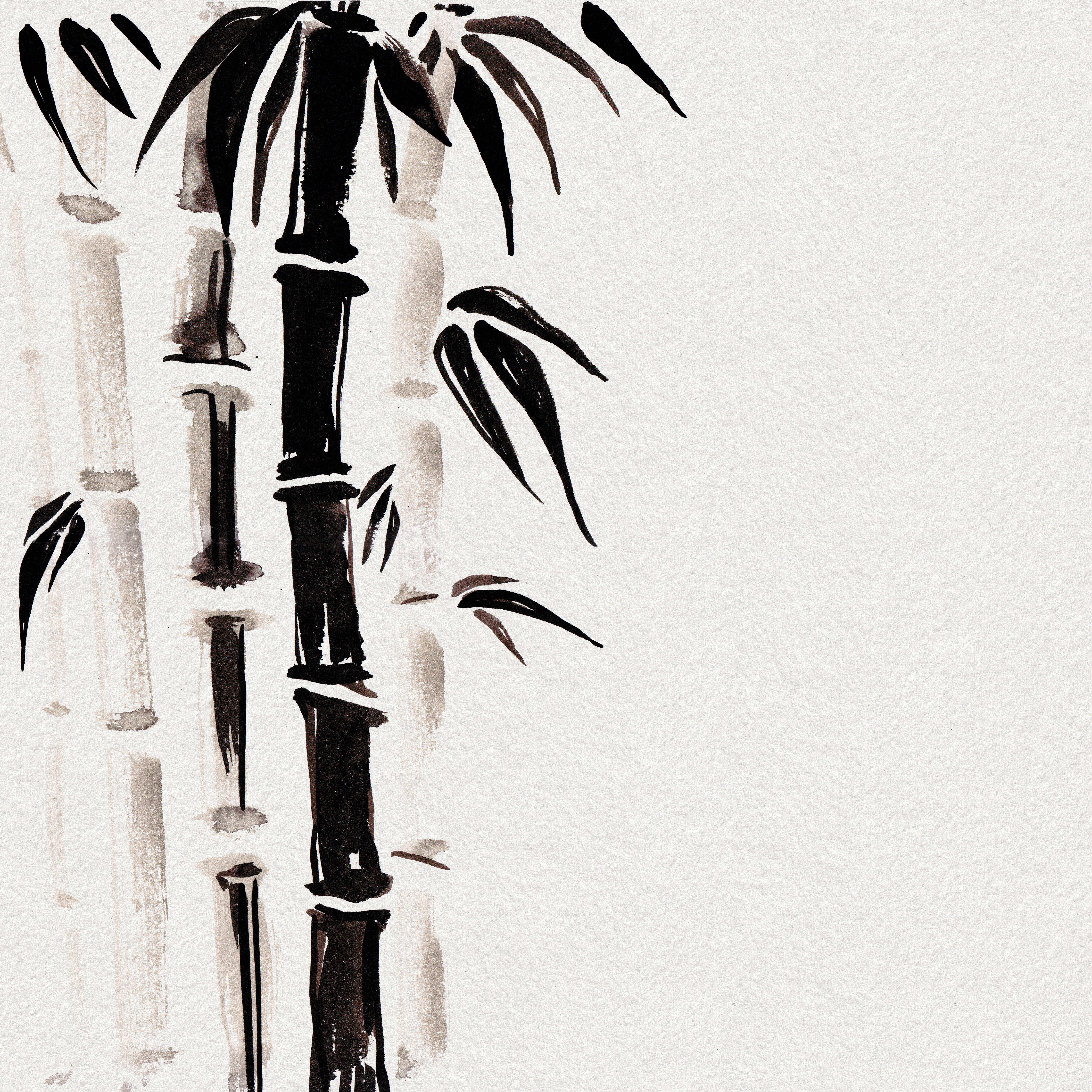 Bay Isle Home™ Aubrei Bamboo by Katyau | Wayfair