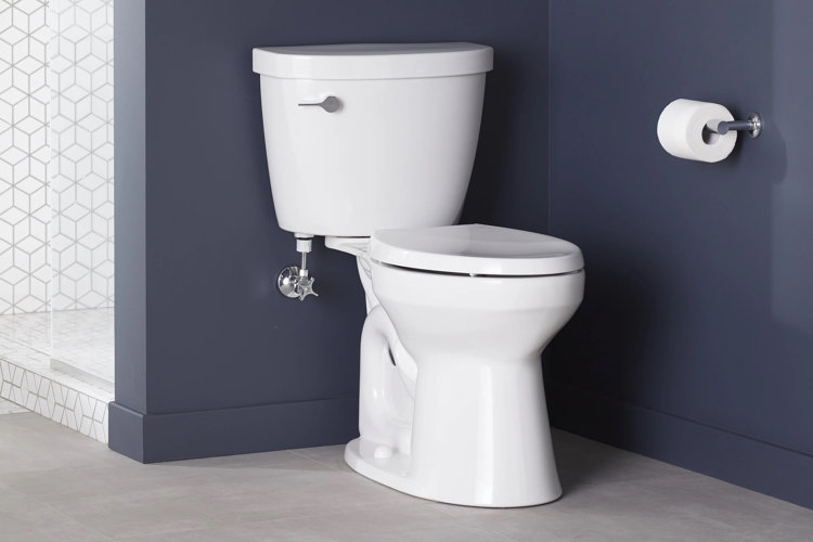 What Is a Chair-Height Toilet & Why One Might Work for You | Wayfair