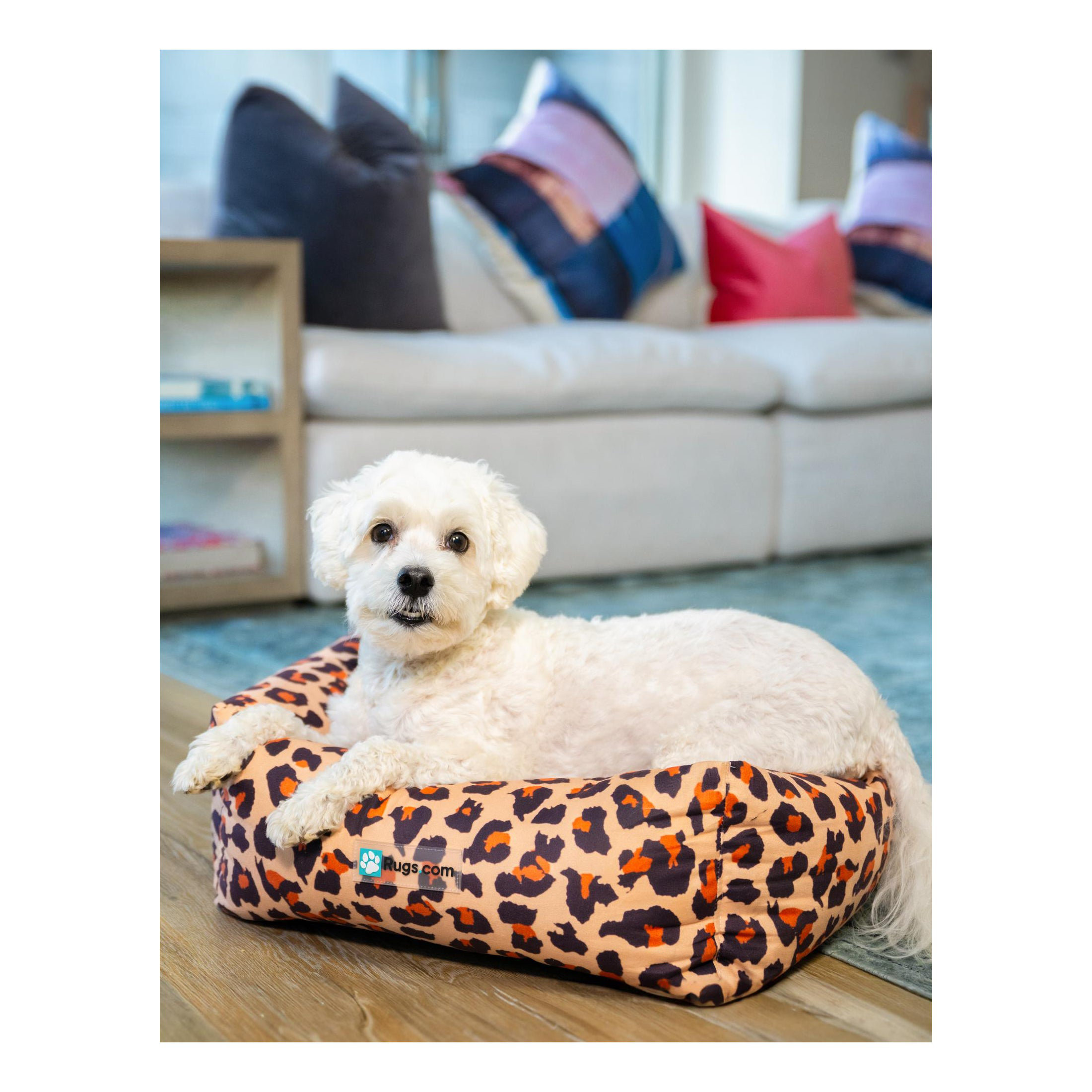 Rugs.com Leopard Premium Pet Bed Rug | Wayfair