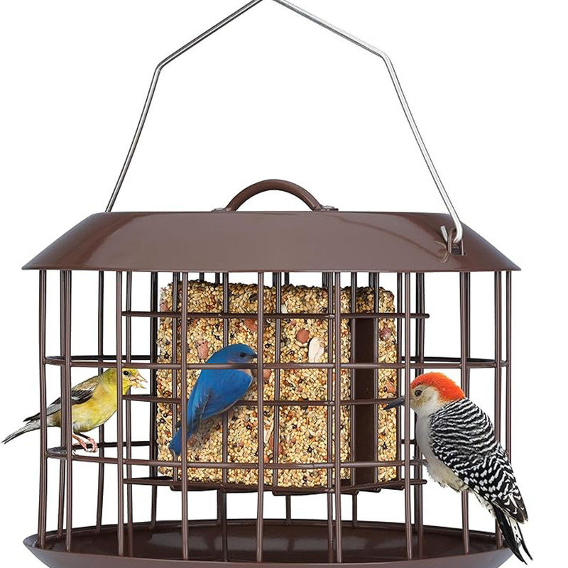 Arlmont & Co. Durable Squirrel Proof Suet Feeder with Seed Tray, Cage ...