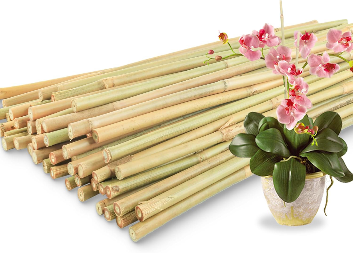 Arlmont & Co. 50Pcs / 18 inch Bamboo Plant Stakes for Indoor Outdoor ...