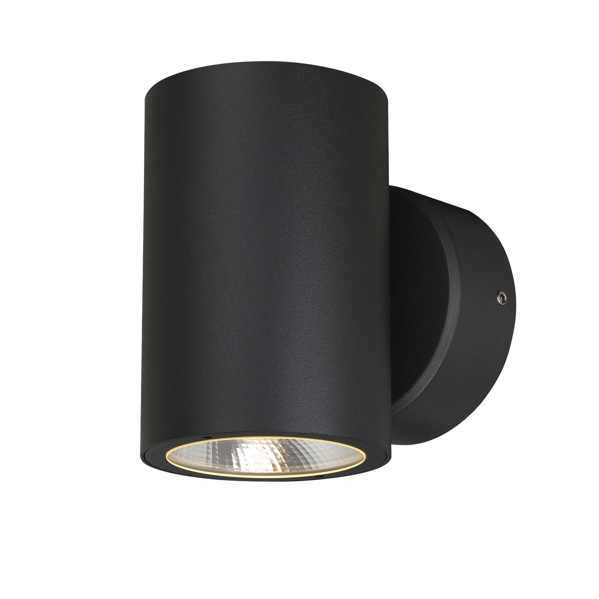 Hokku Designs Glen Outdoor LED Wall Light, Black | Wayfair