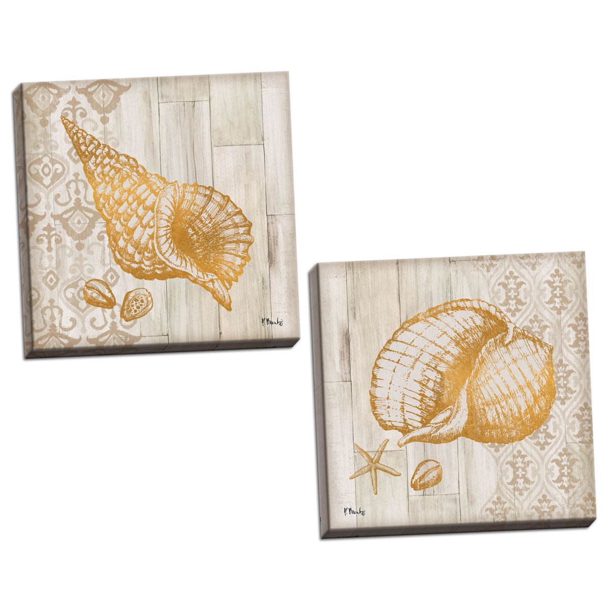 Highland Dunes Distressed Beach Décor Saint Tropez Shell Nautical by ...