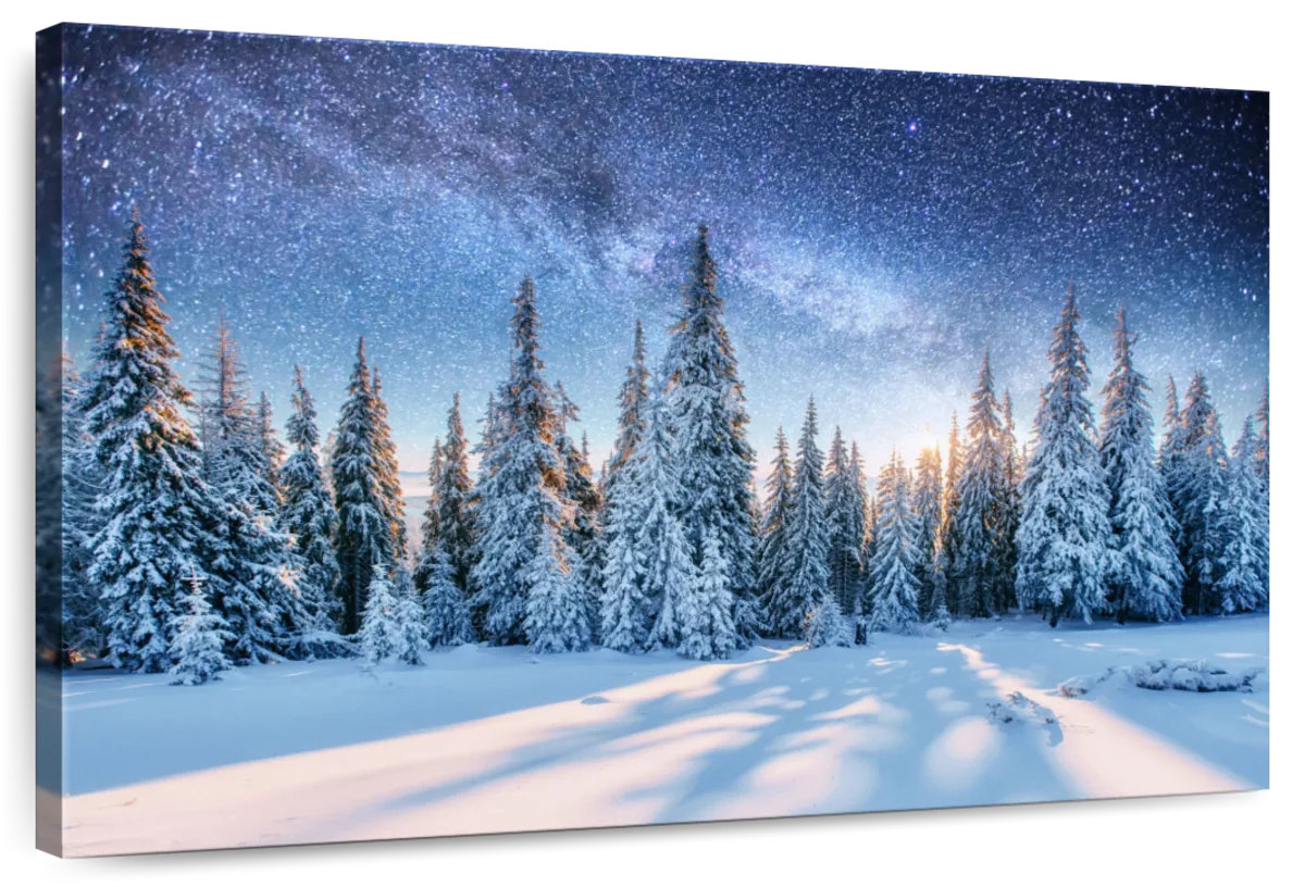 Elephant Stock Winter Pines | Wayfair