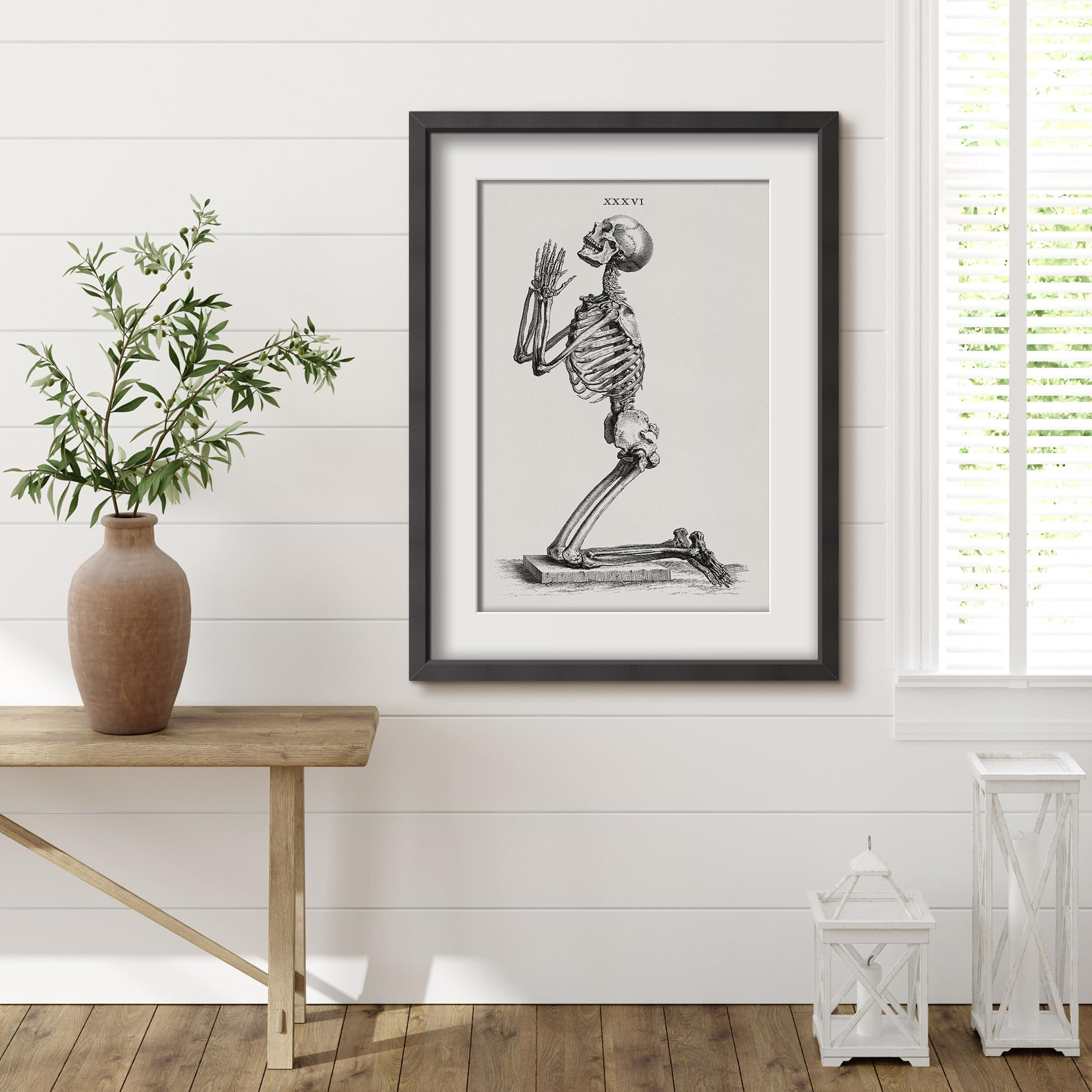 wall26 Classic Skeleton Art Print - Educational Medical Diagram ...